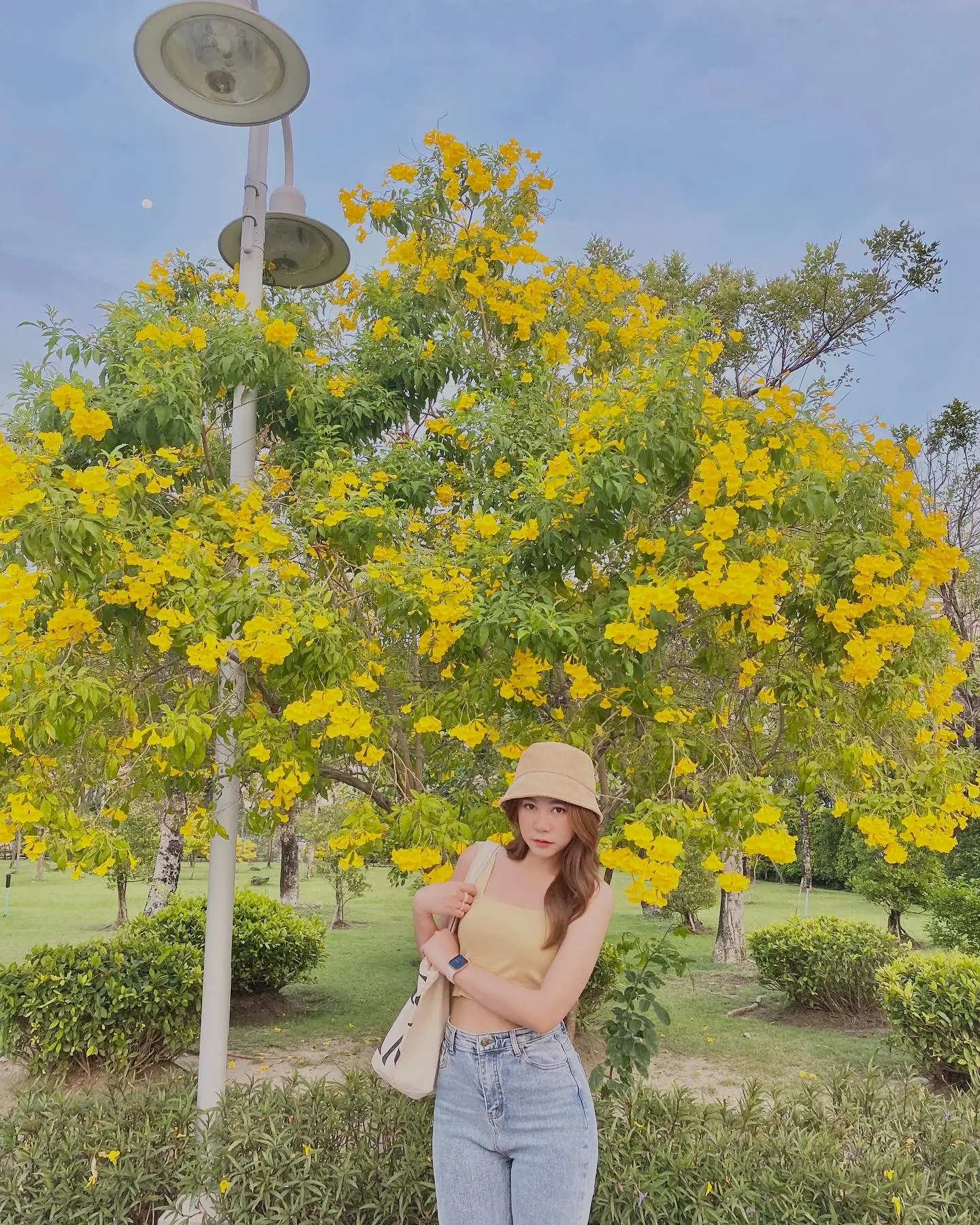 ถ่ายรูปแสงเย็น ที่สวนเบญจกิติ ฟีลโคเรียเว่ออ | แกลเลอรีที่โพสต์โดย ℬ𝒶𝒾𝓉𝑒𝒶𝓎 | Lemon8