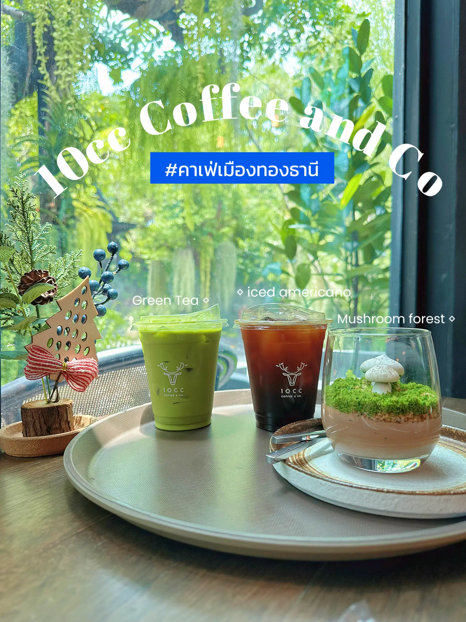 10cc Coffee and Co ☕️ คาเฟ่เมืองทอง พาสัตว์เลี้ยงมาได้🐶🐱 | แกลเลอรีที่โพสต์โดย Friend🩵 | Lemon8