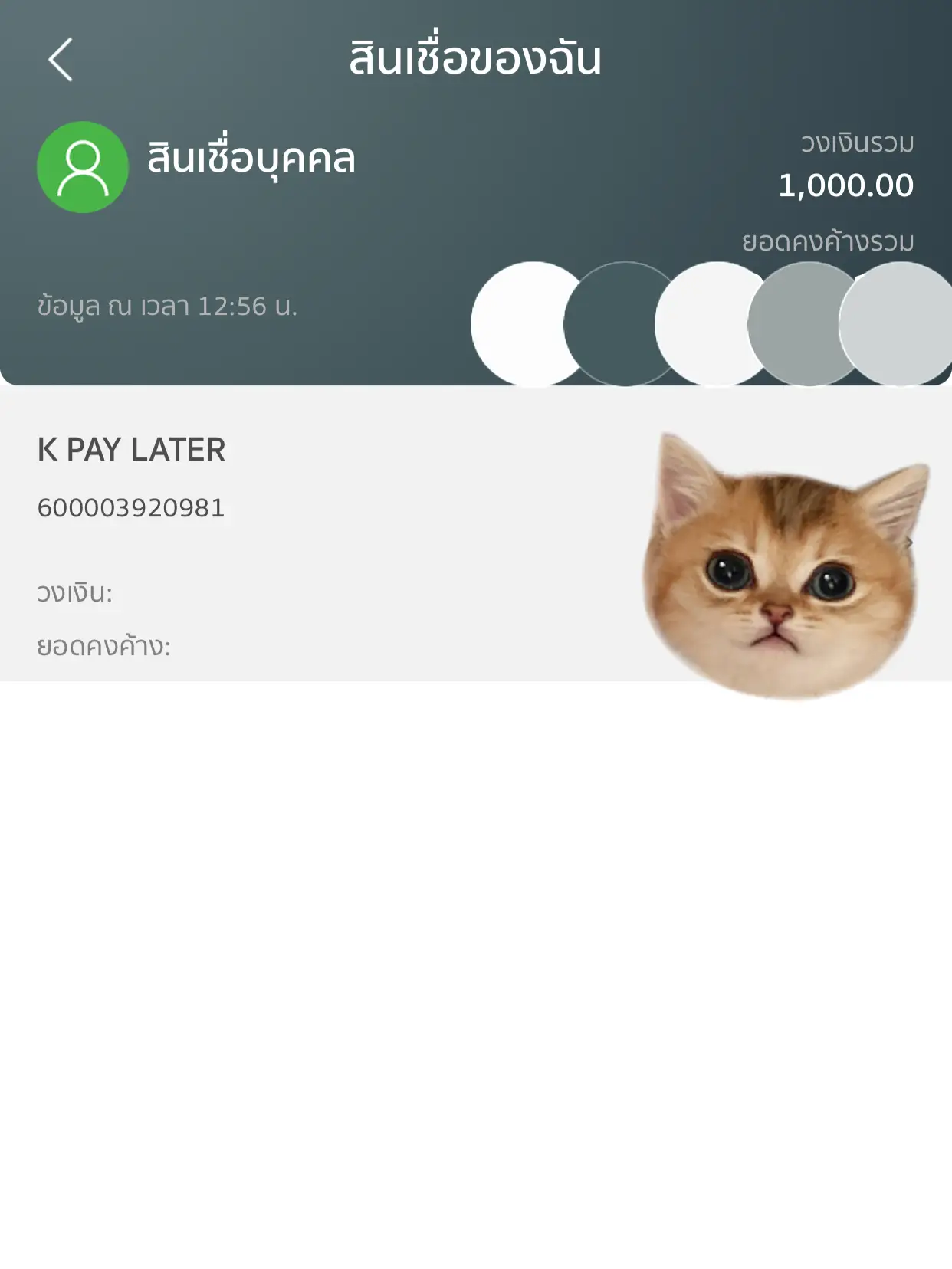 ช๊อปก่อนจ่ายทีหลัง 🤩 | แกลเลอรีที่โพสต์โดย Preawnicha | Lemon8