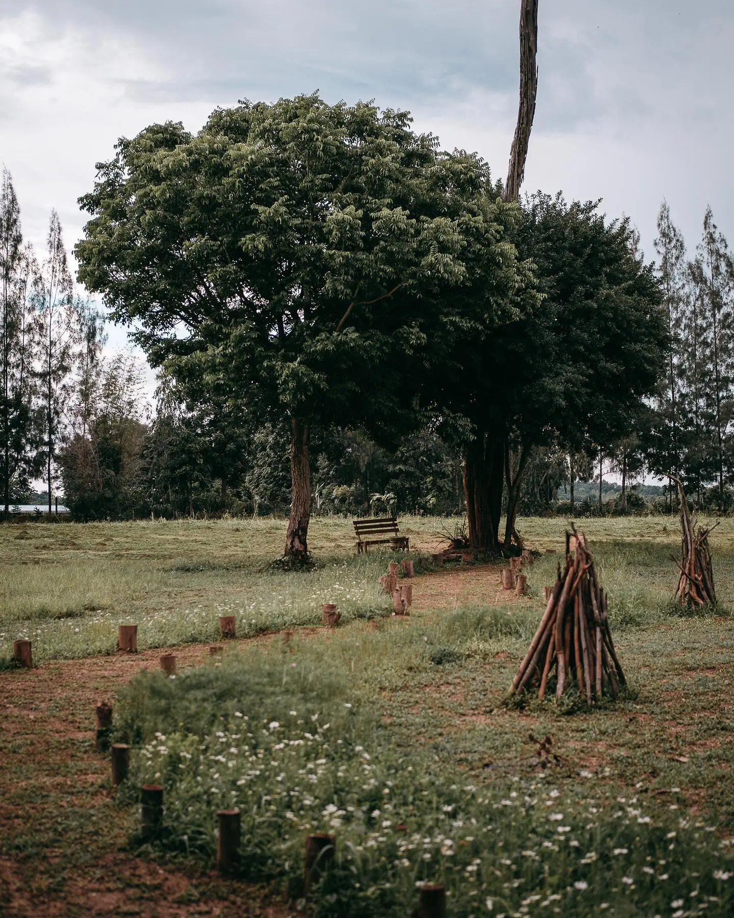41 and 42 Farm to Cafe บรรยากาศใกล้ชิดธรรมชาติที่โคราช | แกลเลอรีที่ ...