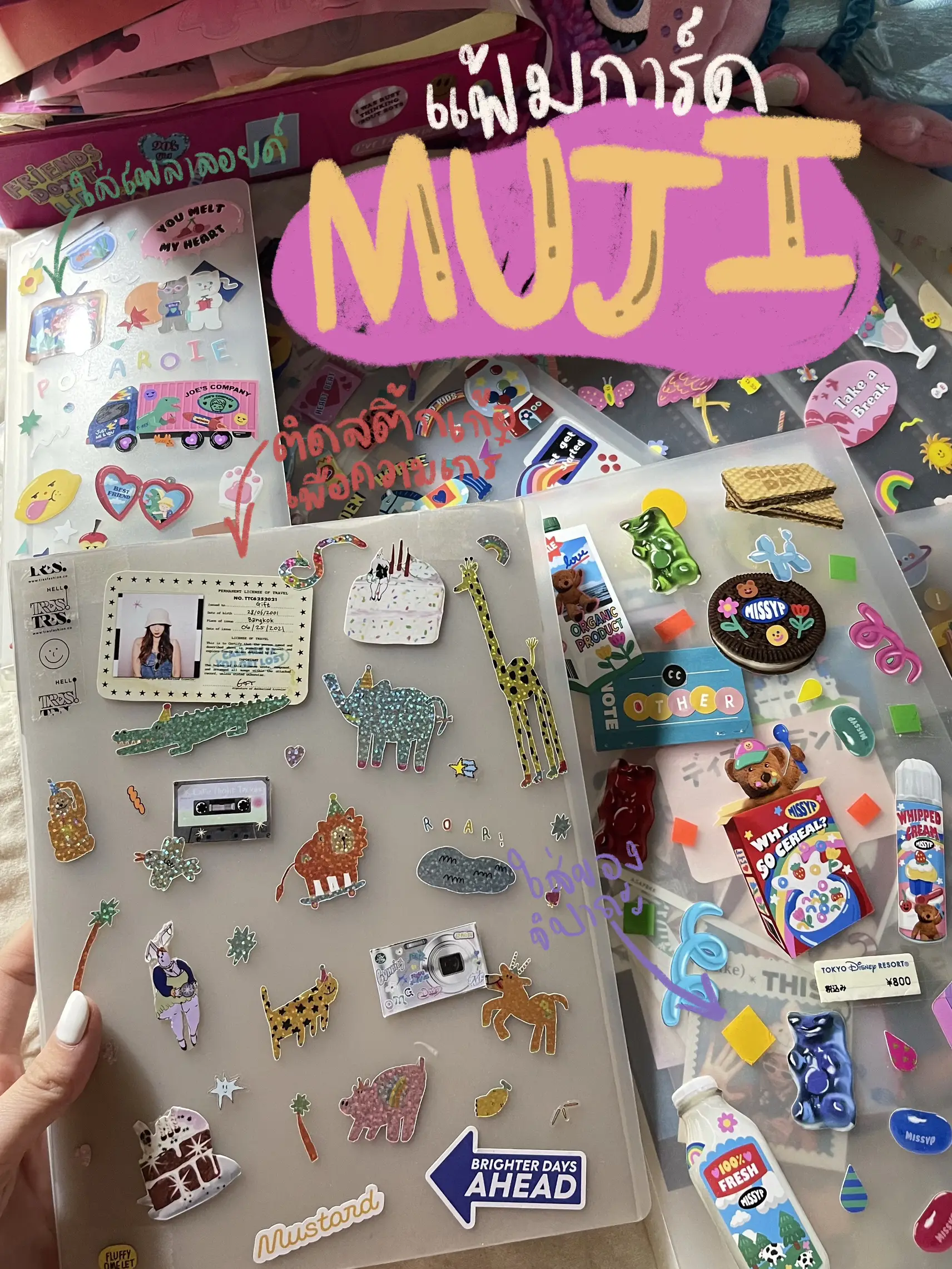 แฟ้ม Sanrioแบบซิป - การค้นหาใน Lemon8