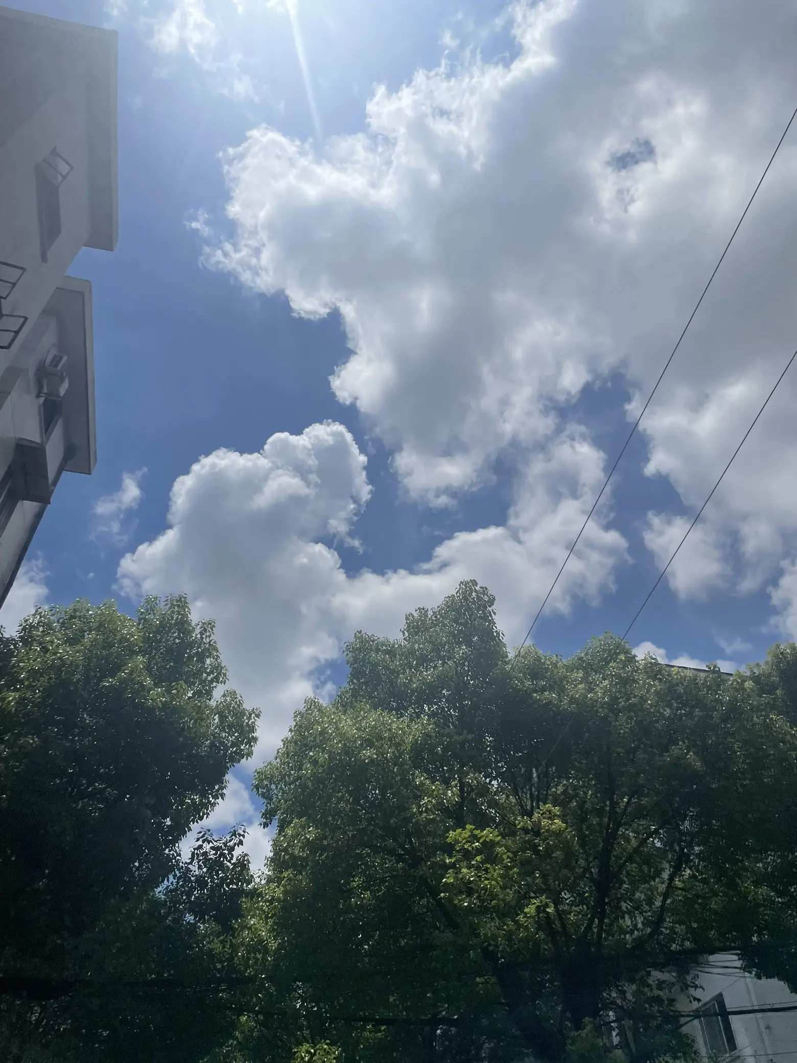 dw123 menyiarkan sumbangan, li | Galeri disiarkan oleh Annisah | Lemon8