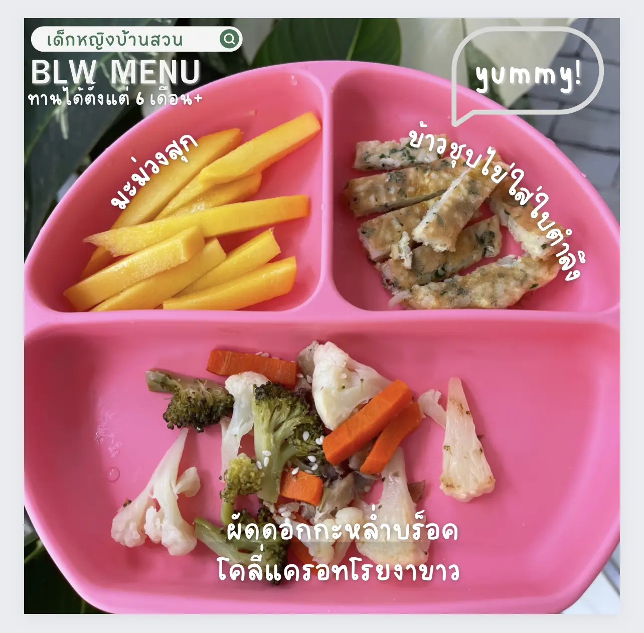 เมนูลูกรัก สาย BLW 6 เดือน+ 🍱 | แกลเลอรีที่โพสต์โดย เด็กหญิงบ้านสวน | Lemon8