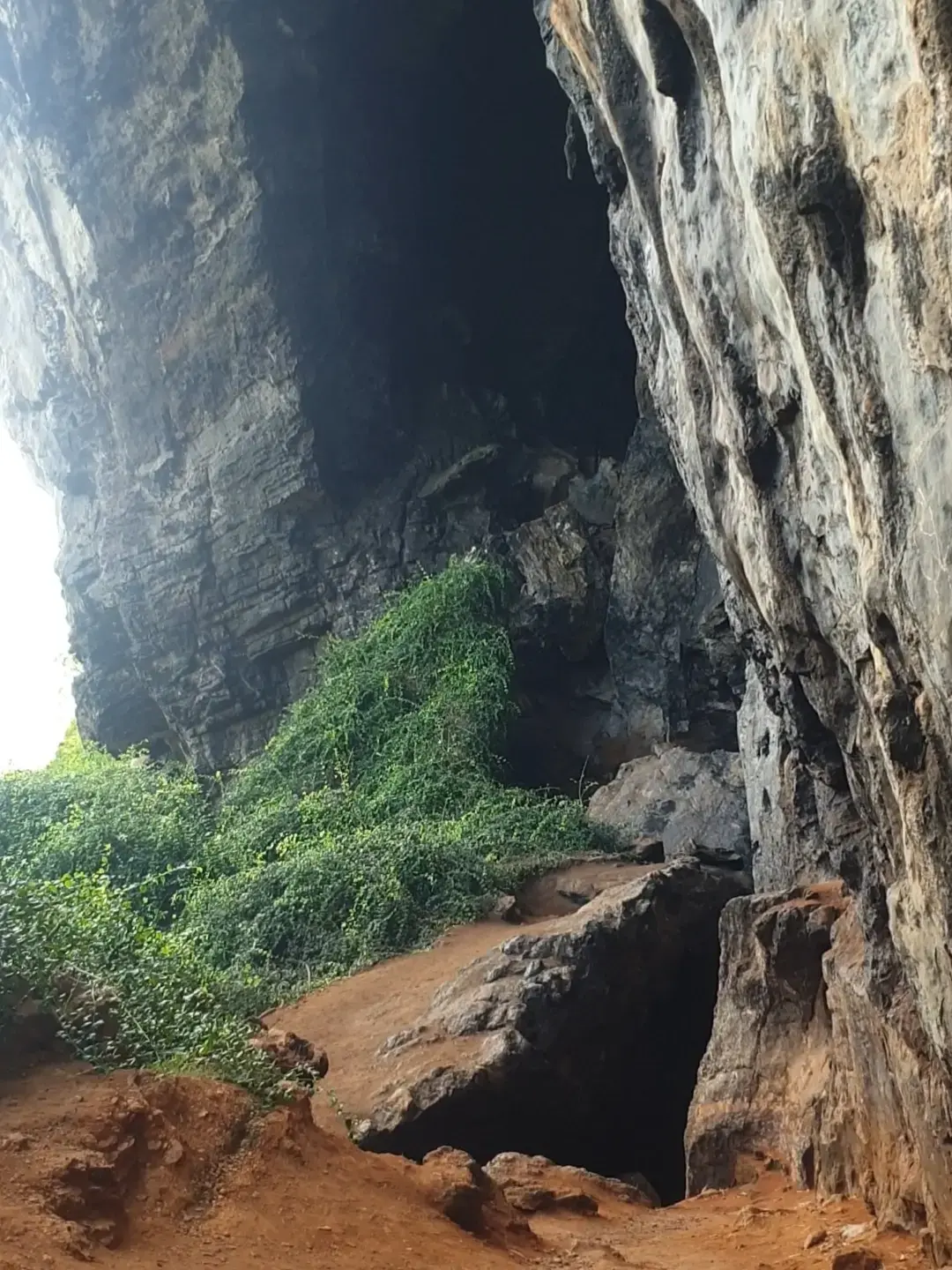 ถ้ำค้างคาวไร่เลย์ | แกลเลอรีที่โพสต์โดย shebeen - ชีบีน | Lemon8