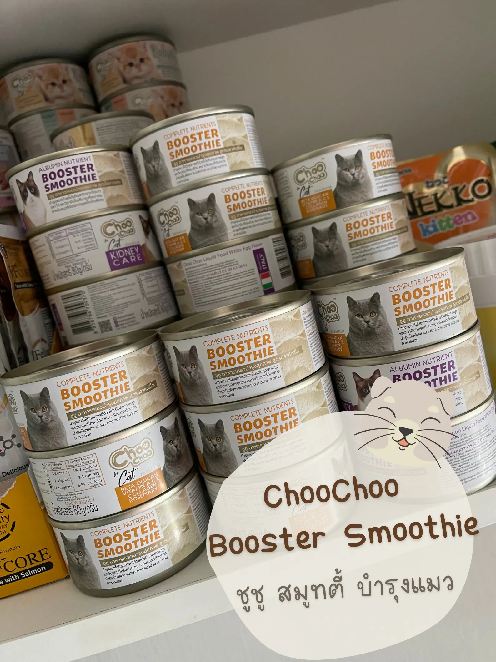 Choo Choo Smoothie | Gallery posted by Evalyn | Lemon8