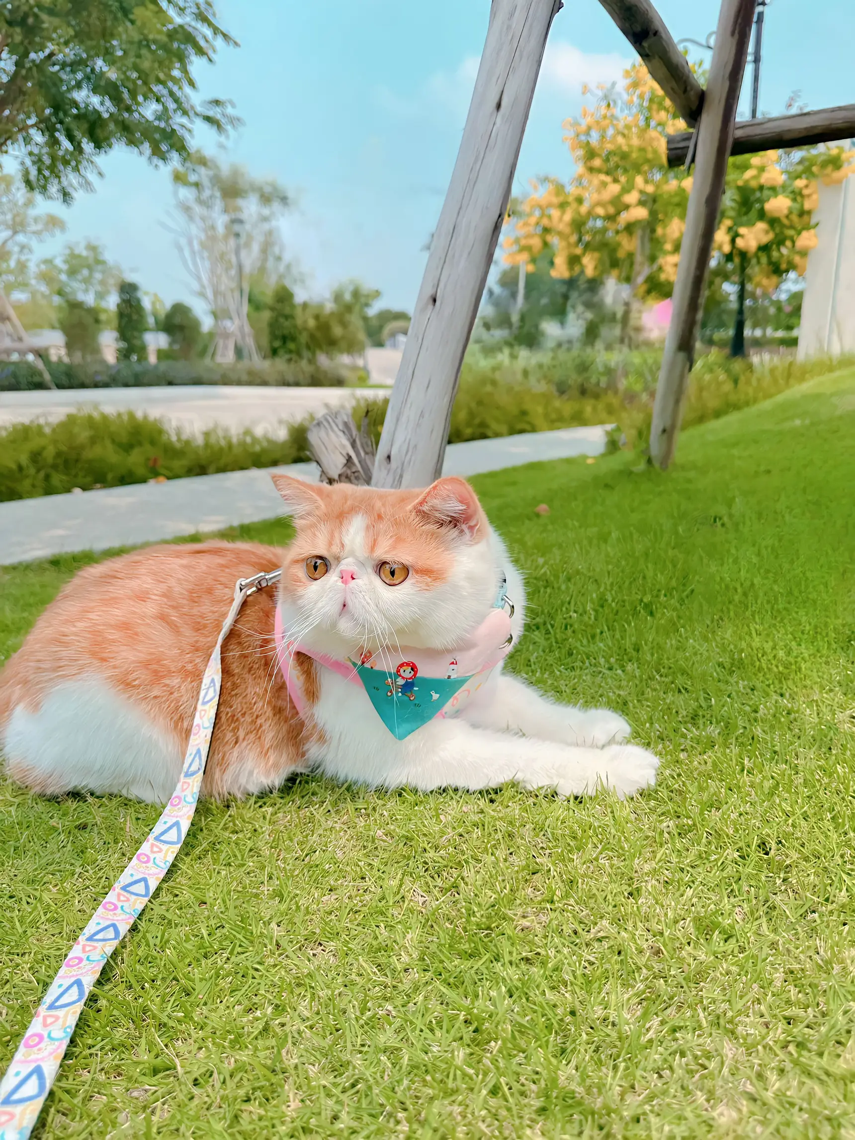 พาเด็กอ้วนเดินเล่นสวน ชอบใหญ่เลยน๊า | แกลเลอรีที่โพสต์โดย Kamuu | Lemon8