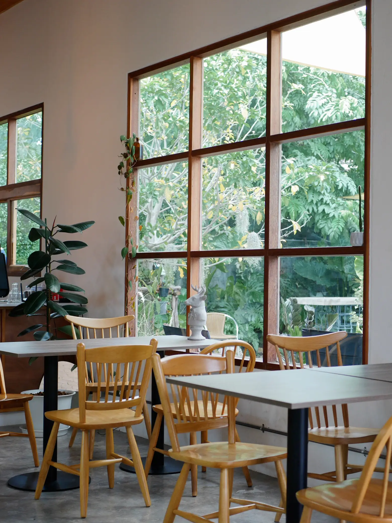 // 𝗕𝗟𝗢𝗢𝗠𝗜𝗡𝗚 𝗖𝗔𝗙𝗘 // 🪑🌳#สวนผัก #ตลิ่งชัน | แกลเลอรีที่โพสต์โดย TripTamJai | Lemon8