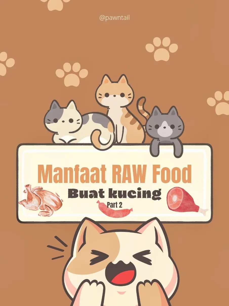 RAW FOOD BUAT KUCING AMAN GAK YA? (pt.2) | Galeri diposting oleh Kamus ...