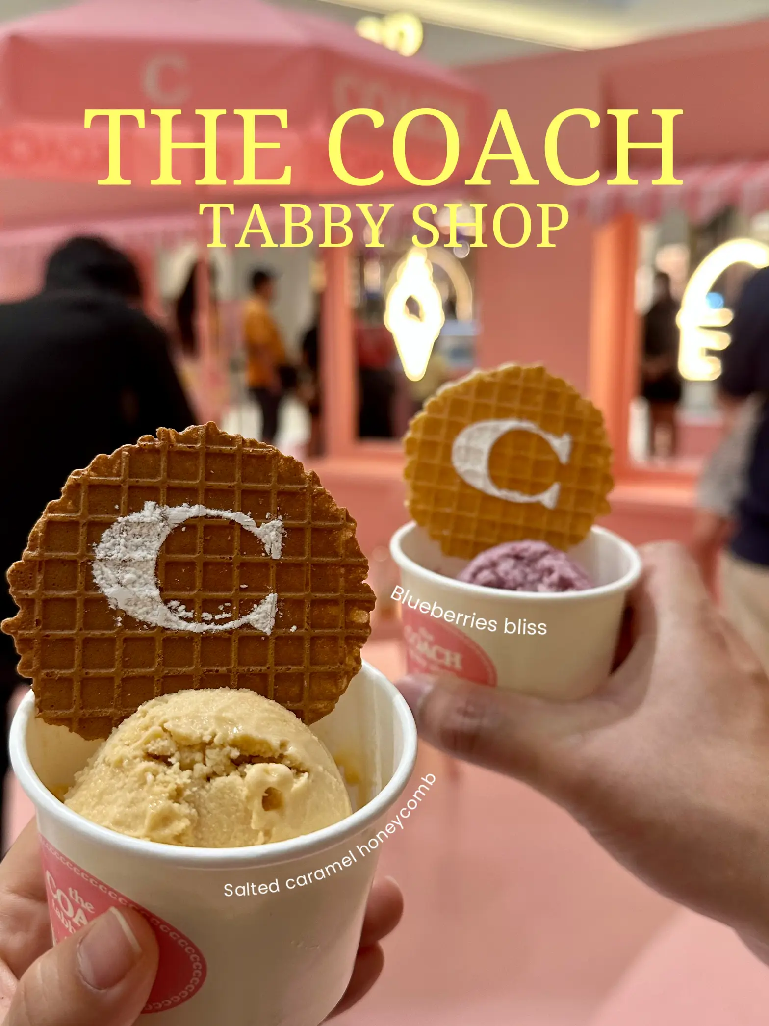 พาส่องอีเวนท์ The Coach Tabby House 💒💖 | แกลเลอรีที่โพสต์โดย kwankwan ...