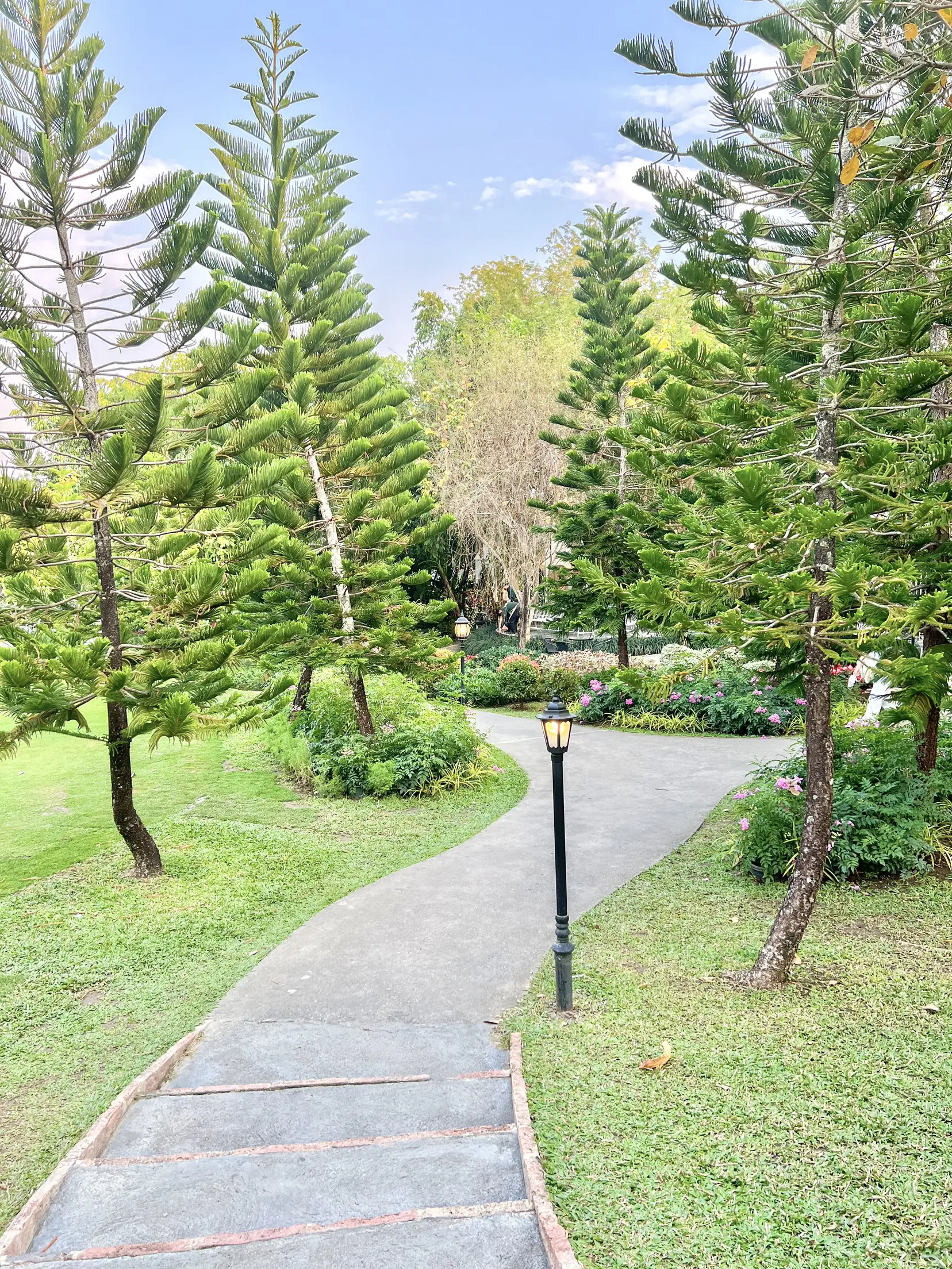 Fleur Cafe & Eatery คาเฟ่เชียงใหม่ที่ห้ามพลาด💐 | แกลเลอรีที่โพสต์โดย ...