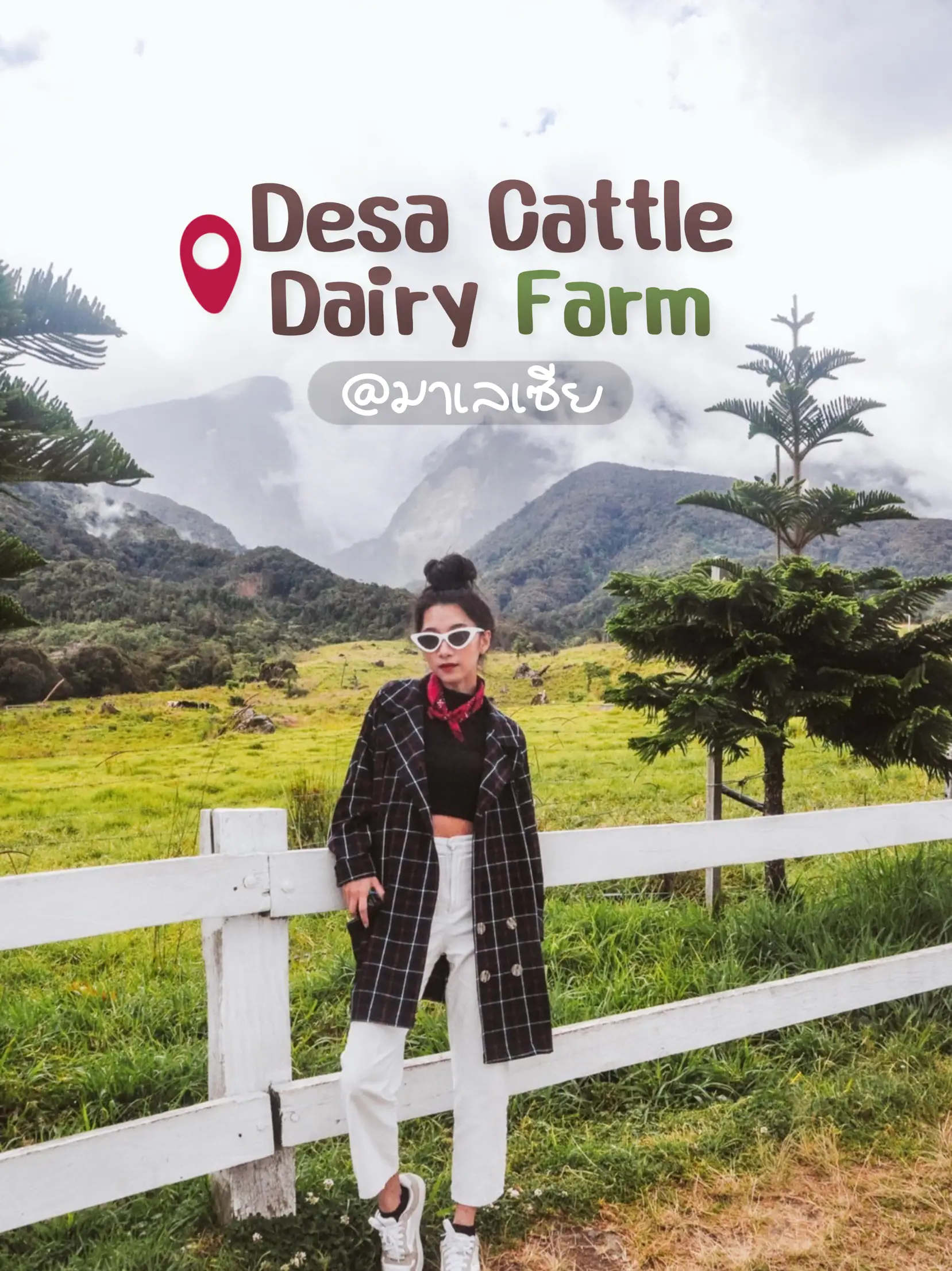 Desa Cattle Dairy Farm in Malaysia 🐄🍼 | Gallery posted by Fern.kanut ...