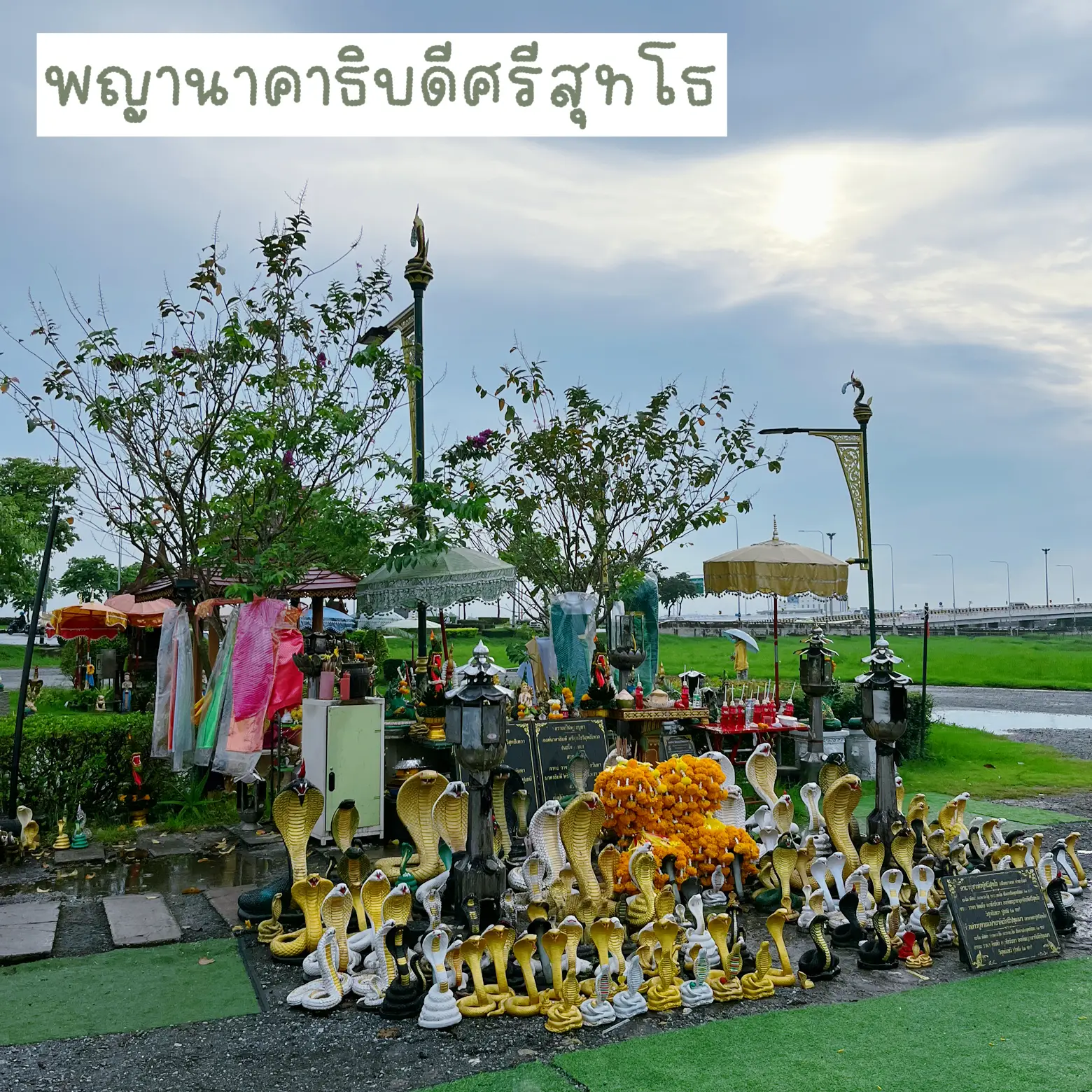 ไปมูกัน 🔮 ศาลพญานาค สนามบินสุวรรณภูมิ | แกลเลอรีที่โพสต์โดย dear chatnapa | Lemon8