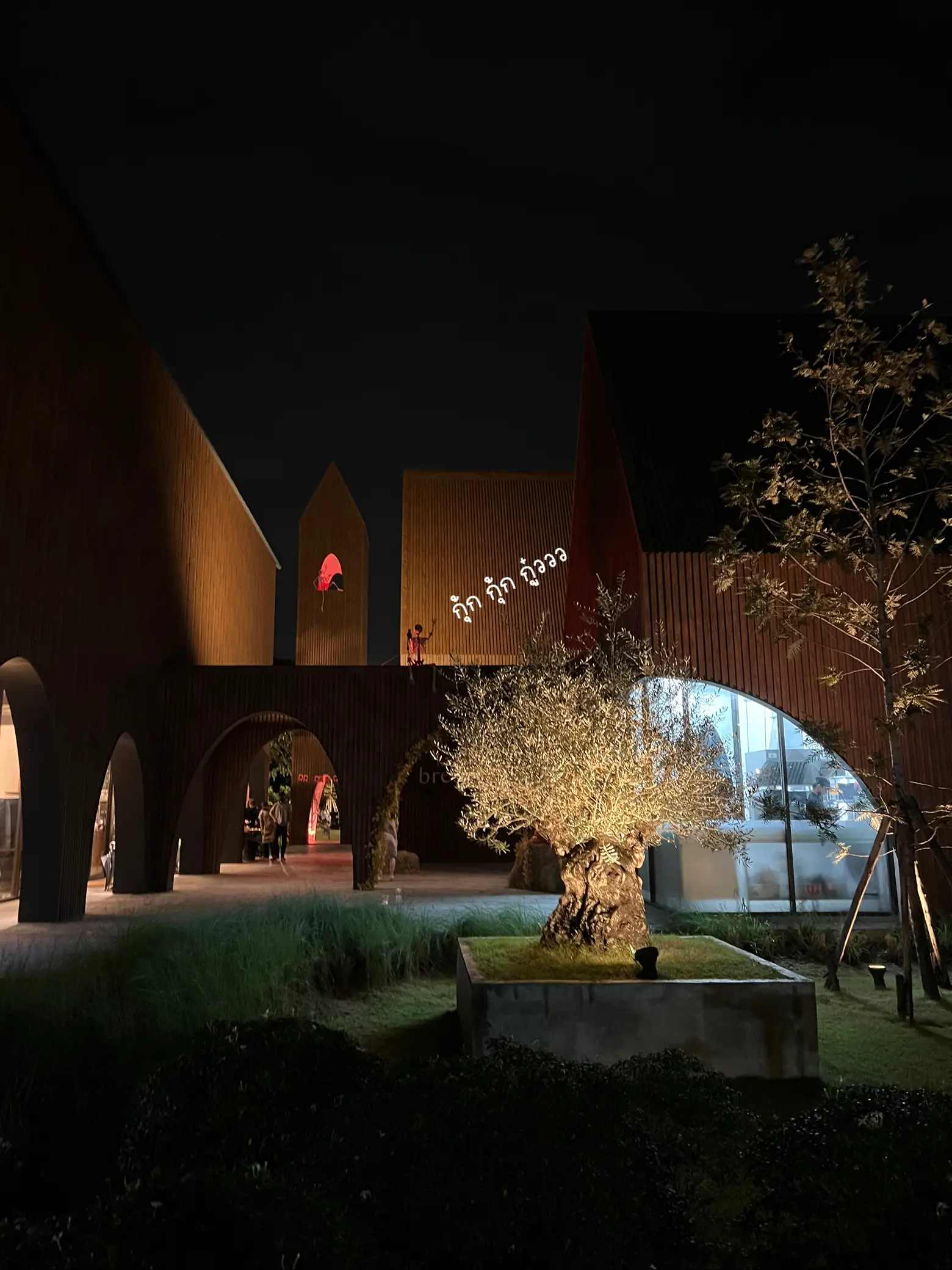 lemonick56 โพสต์ผลงานแล้ว ดูแล | วิดีโอที่เผยแพร่โดย Lemonick56 八 | Lemon8