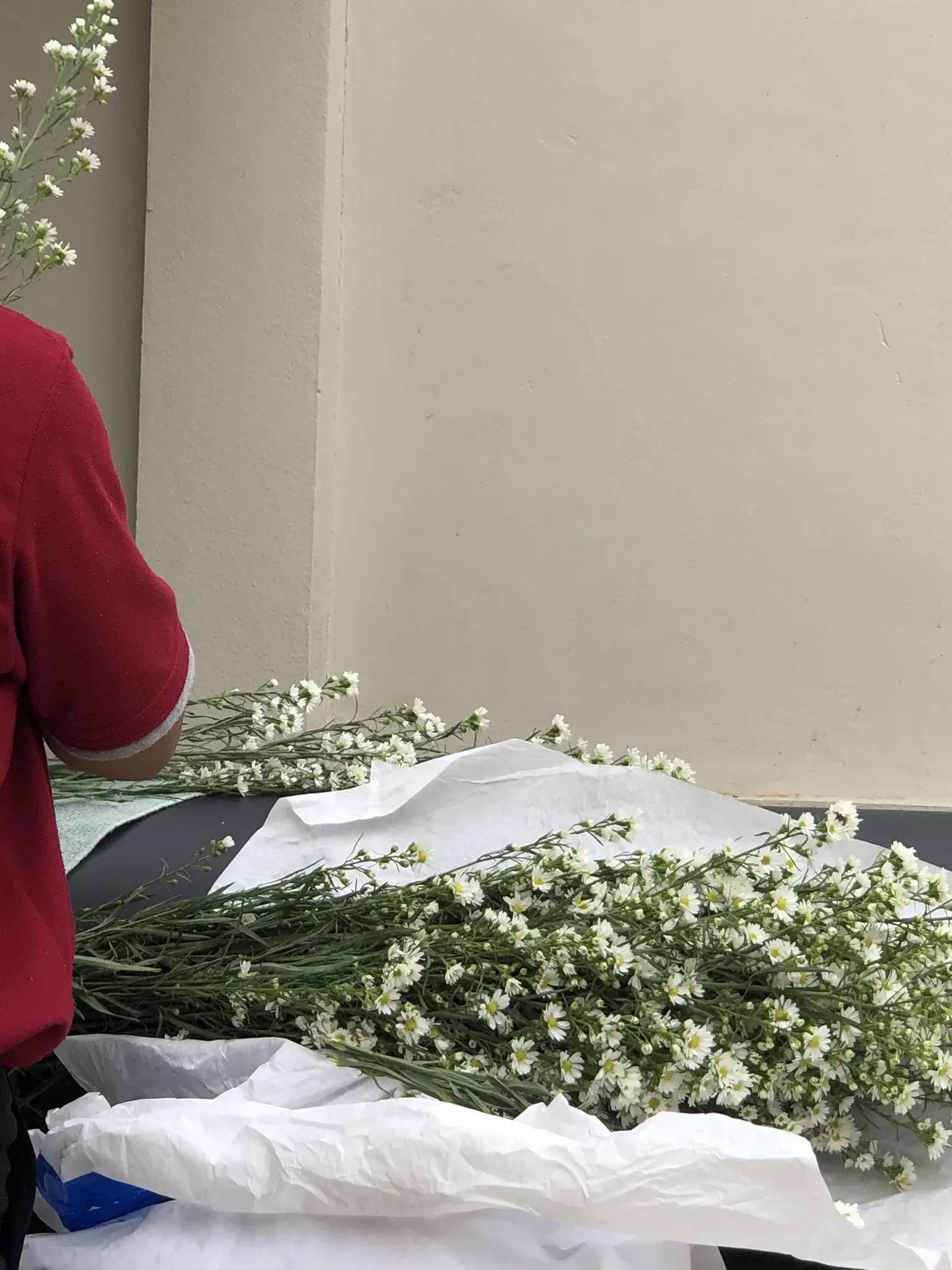 ALSO CAFE 💐 นี่มันคาเฟ่เกาหลีชัดๆ | แกลเลอรีที่โพสต์โดย Wanii | Lemon8