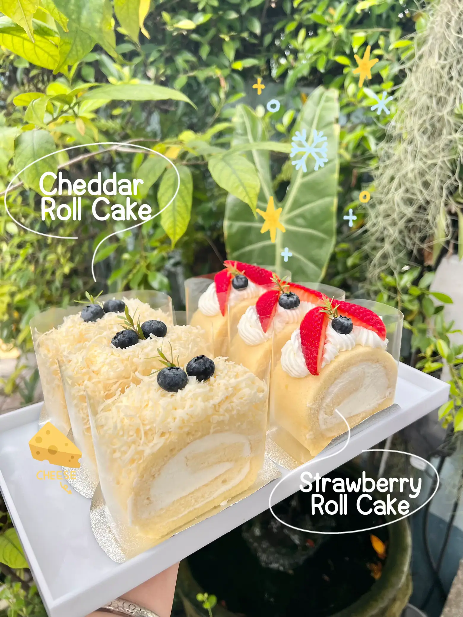 rolypoly เสิร์ฟอะไร เมื่อวันหยุดที่ผ่านมาาาาาาาา | แกลเลอรีที่โพสต์โดย top | Lemon8