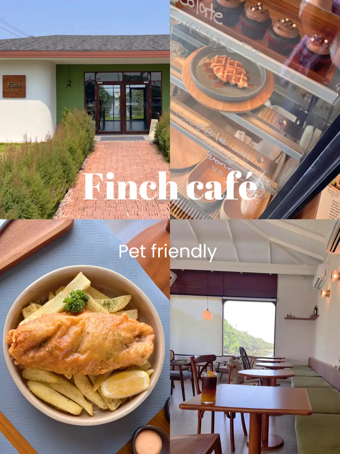 รีวิวคาเฟ่ใหม่ย่านกรุงเทพกรีฑา 🌥️ Finch | แกลเลอรีที่โพสต์โดย pigggupp ...