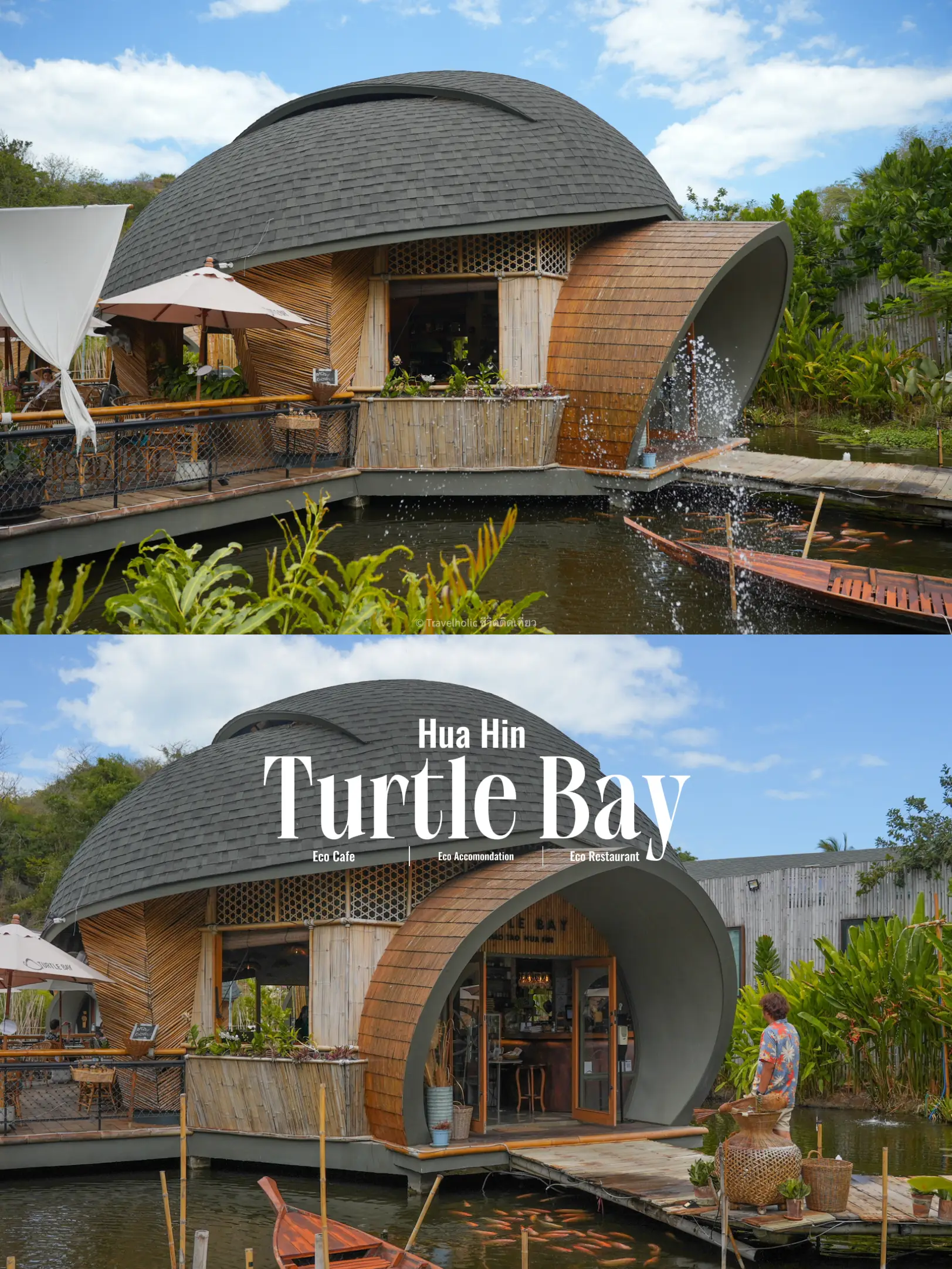 Turtle Bay Hua Hin 🐢 คาเฟ่ ร้านอาหาร ที่พักดีไชน์เก๋ | แกลเลอรีที่โพสต์ ...