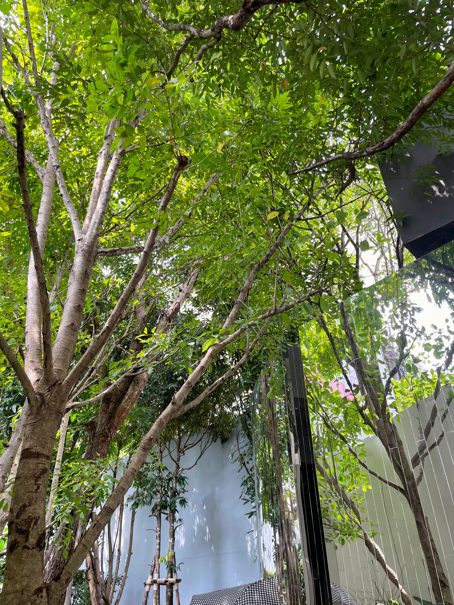 Mindscape Cafe by Bottomless ☕️ | แกลเลอรีที่โพสต์โดย Anutuem | Lemon8