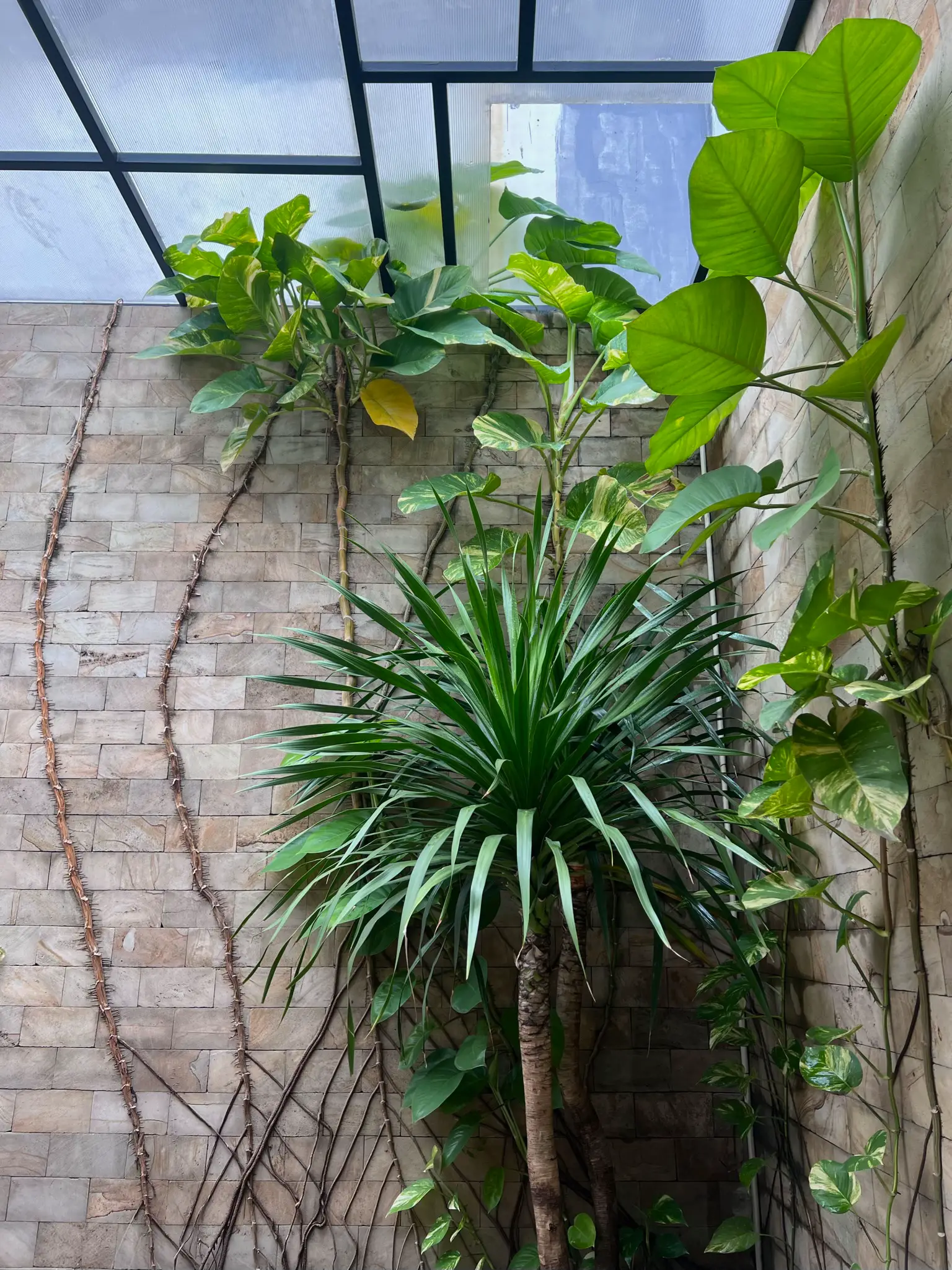 Rekomendasi Coffee Shop Rawamangun | Galeri diposting oleh saskia | Lemon8