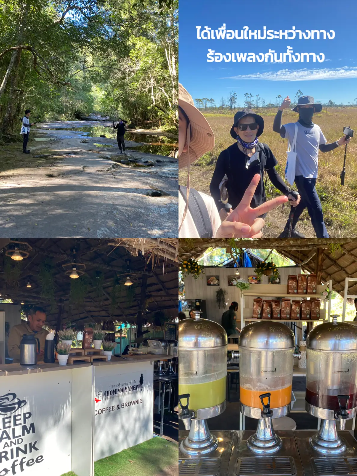 ครั้งนึงในชีวิต มาพิชิตภูกระดึง | แกลเลอรีที่โพสต์โดย Namwarn | Lemon8