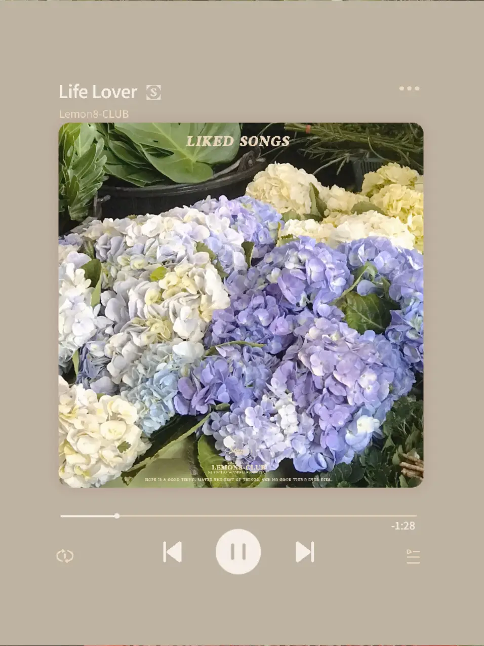 แหล่งดอกไม้ @กาดหลวง เชียงใหม่ | แกลเลอรีที่โพสต์โดย Kapook | Lemon8