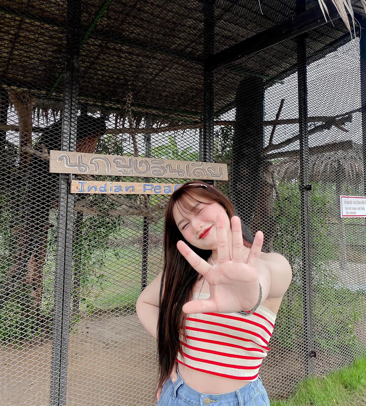 🦓🦍Mini zoo ธัญบุรี คลอง6 จ.ปทุมธานี🦓🦍 | แกลเลอรีที่โพสต์โดย Pimlapadss | Lemon8