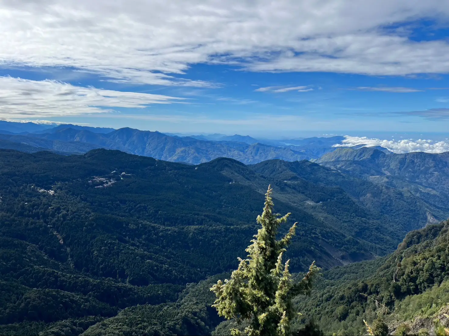 Alishan hiking trails for beginners - การค้นหาใน Lemon8