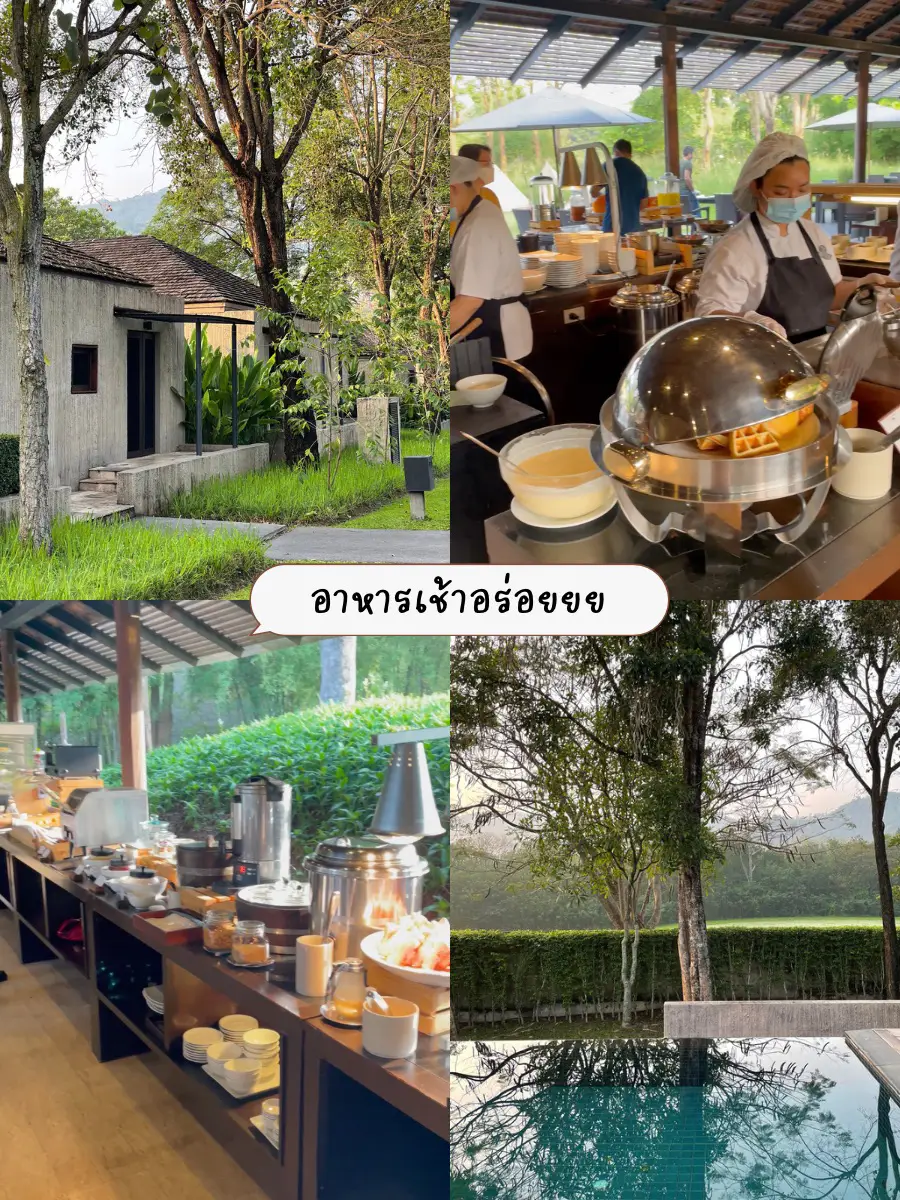 Escape to relax at Muthi Maya. He's big. 🌳🌿 | Gallery posted by ...