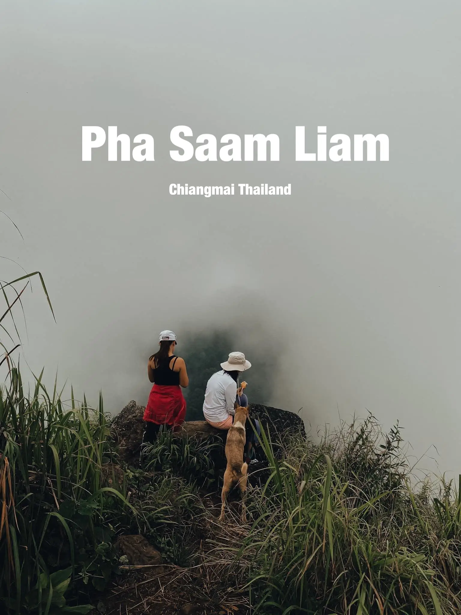 ดอยผาสามเหลี่ยม เดินง่าย ป่าสวย | แกลเลอรีที่โพสต์โดย Nit Niramon | Lemon8