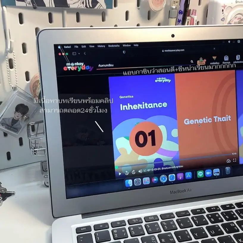 Monkey everyday ; เว็บเรียนและคลังข้อสอบแน่นๆ | แกลเลอรีที่โพสต์โดย ︎🍅 ...