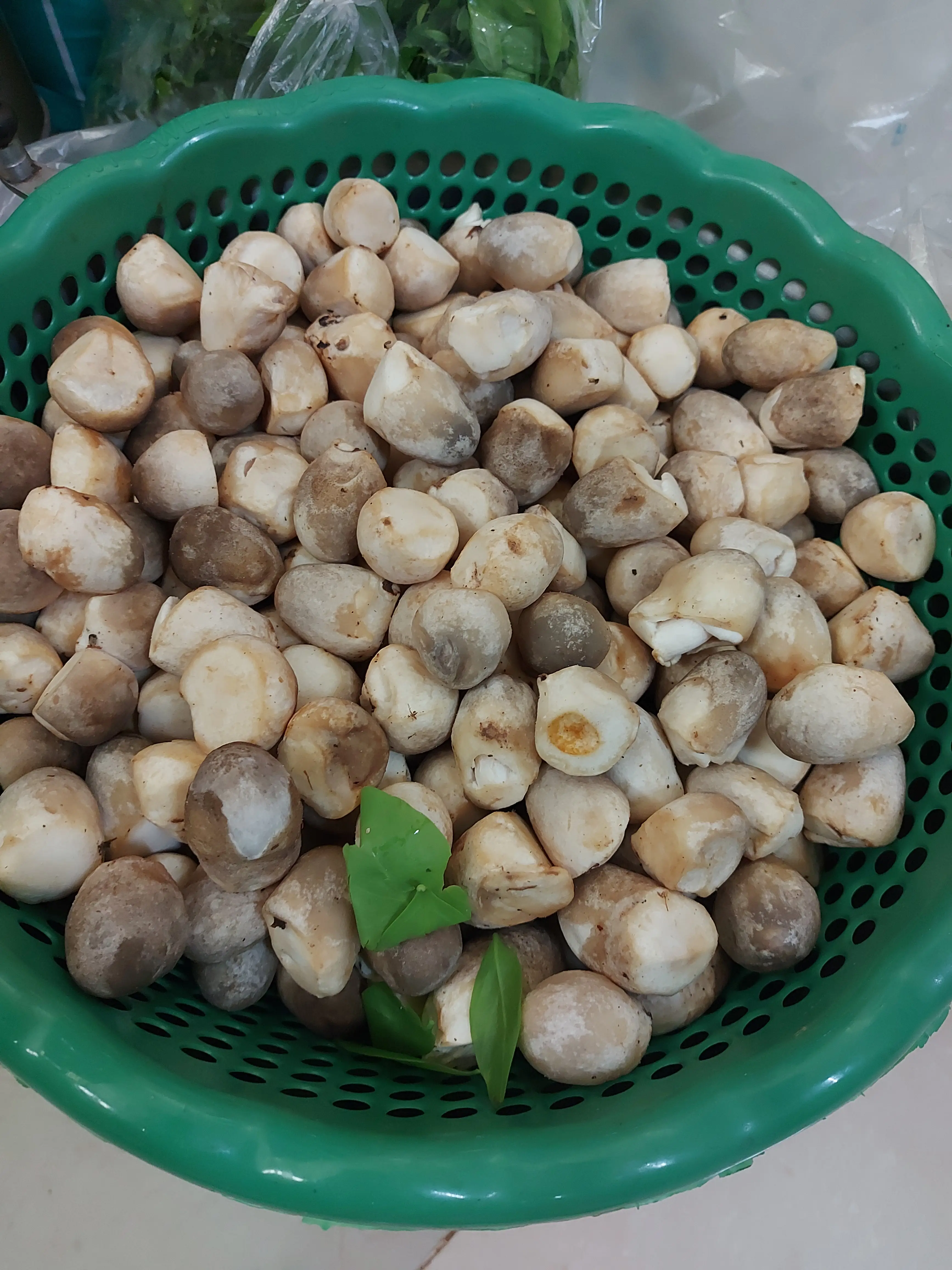 #แกงเห็ดรวม | แกลเลอรีที่โพสต์โดย คนชอบทำอาหาร | Lemon8