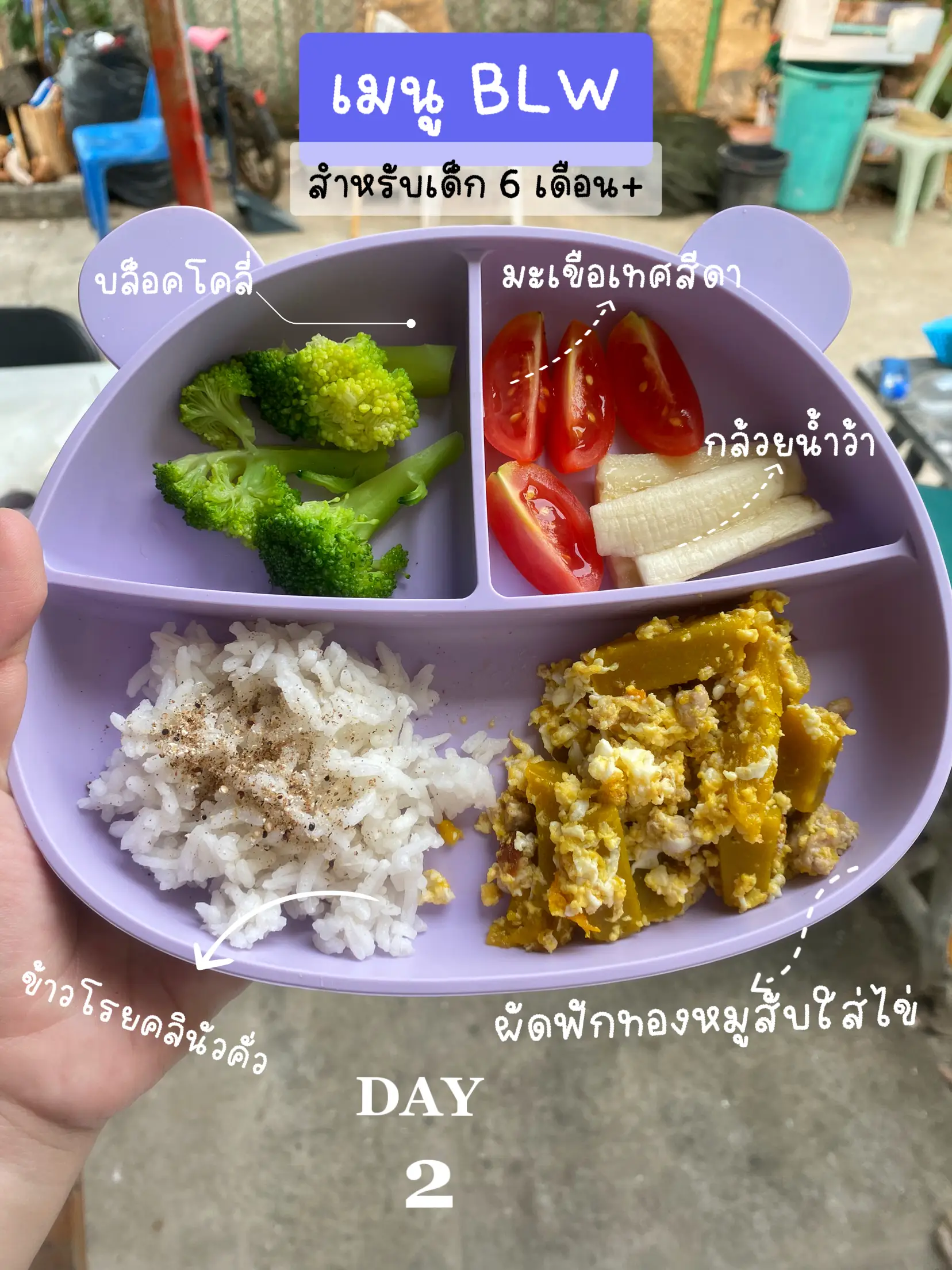 เมนูอาหาร BLW ( 6+ M) 🍋 | แกลเลอรีที่โพสต์โดย เมนูอาหารลูก | Lemon8