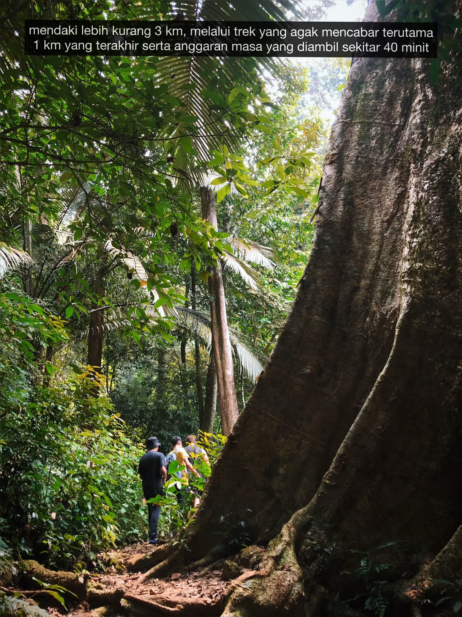 Mandi Puteri Waterfall, Waterfall Tercantik Di Yan | Galeri disiarkan ...