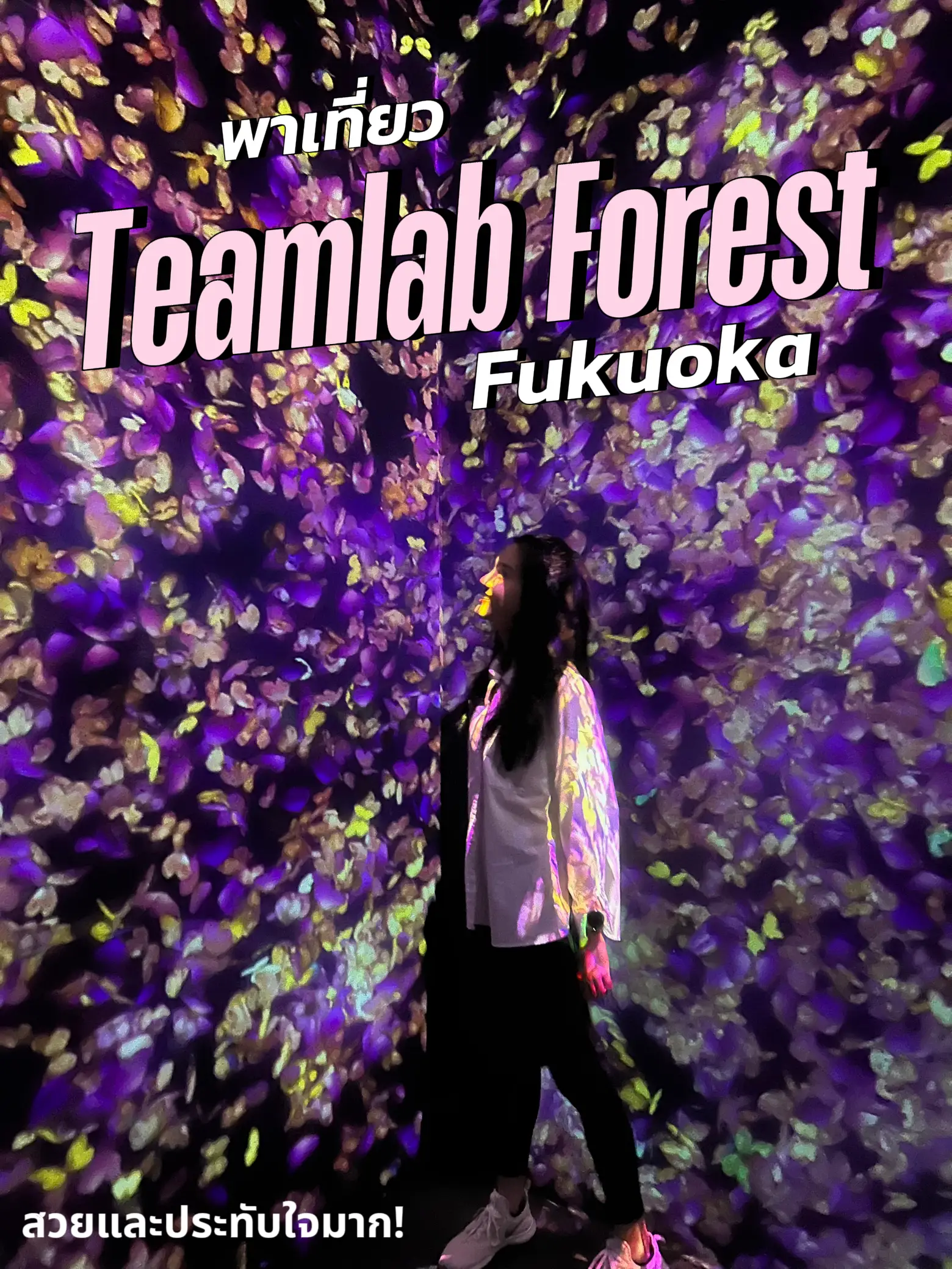 Teamlab Forest Fukuoka งานสวยตราตรึง ฮีลใจ 😍 | แกลเลอรีที่โพสต์โดย DaHealthyPage | Lemon8