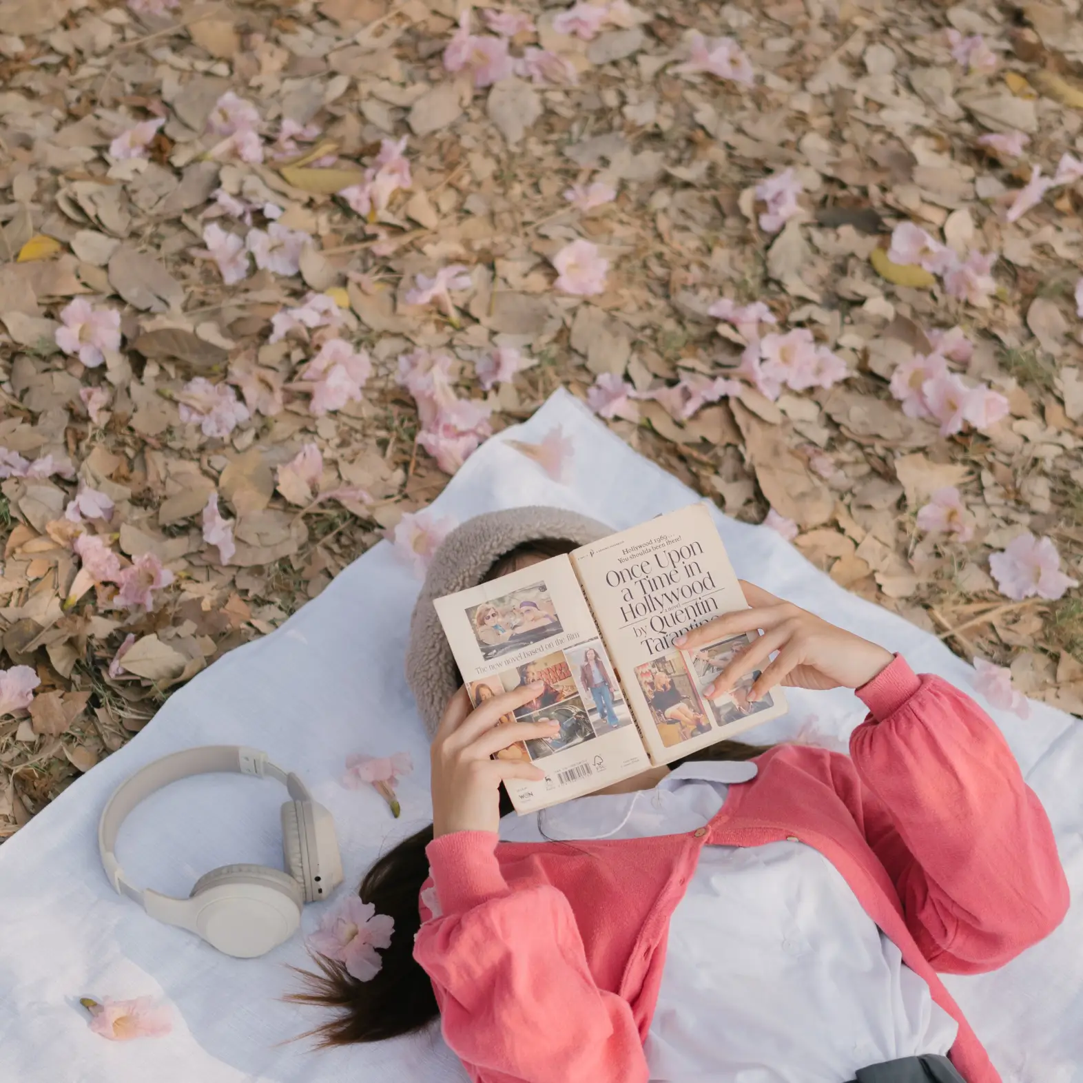 ชมพูพันธุ์ทิพย์ #กำแพงแสน 2023 🌸🍃 | แกลเลอรีที่โพสต์โดย lbzero | Lemon8