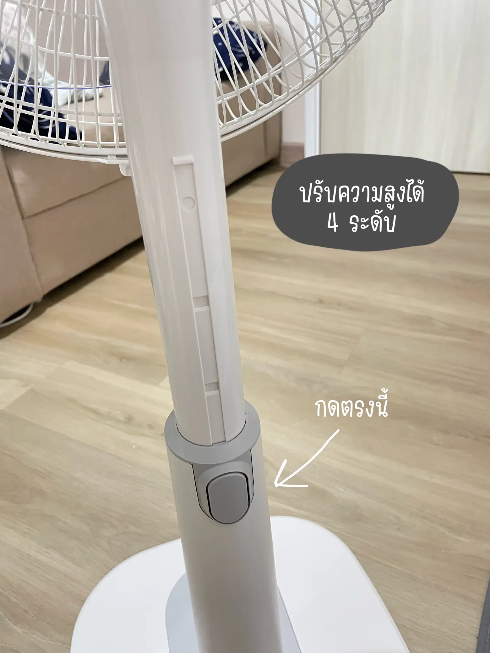 Hatari มีเเบบมินิมอลเเล้วนะรู้ยัง?🤍 | แกลเลอรีที่โพสต์โดย mild.k | Lemon8