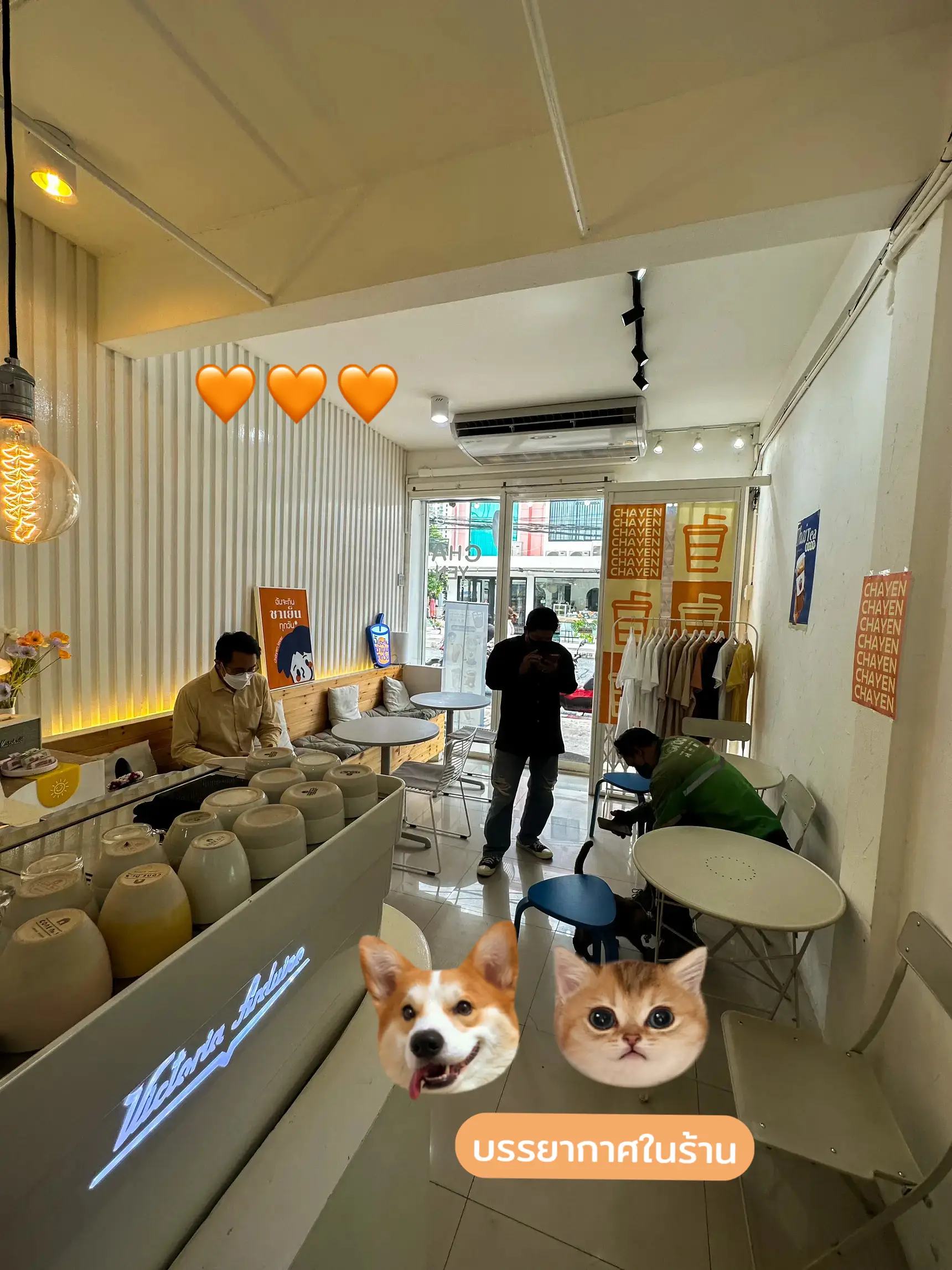 Everyday Thai Tea ชาเย็นที่ไม่เย็นชา🧡🧡🧡 | แกลเลอรีที่โพสต์โดย TιTყ ̈ ...