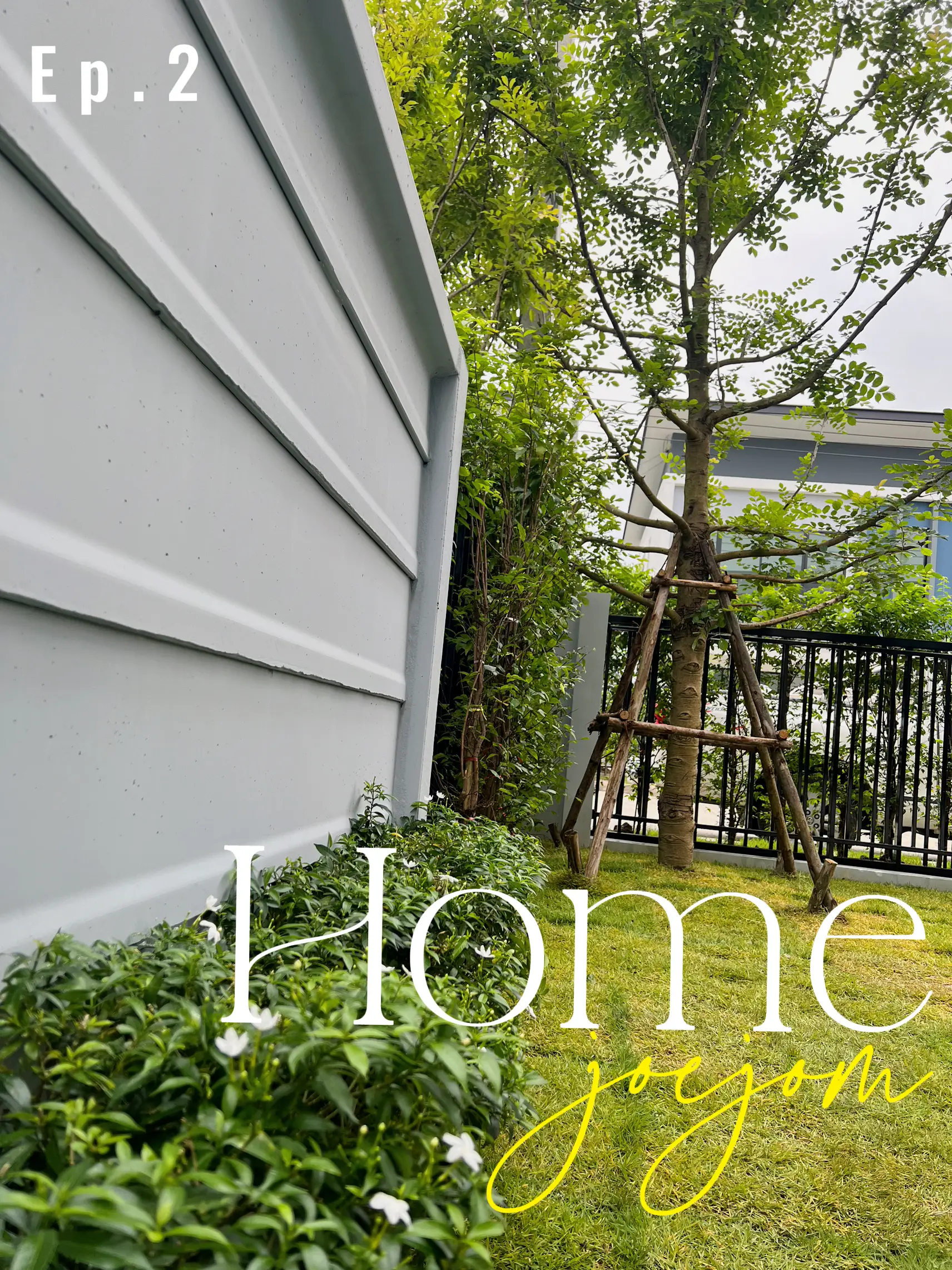 Ep.02 ว่าด้วยเรื่องการปลูกหญ้า 😆🌿🌲 | แกลเลอรีที่โพสต์โดย Jarruvan Ch | Lemon8