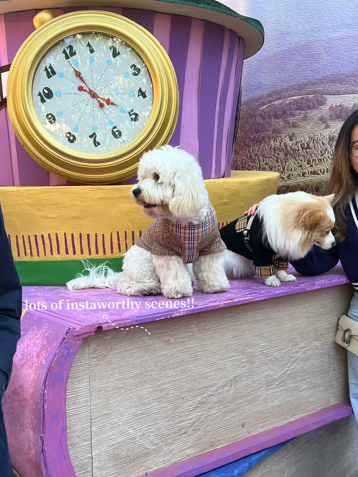 Sydney Cafes: The Grounds @ Alexandria | แกลเลอรีที่โพสต์โดย Felyn Tan ...