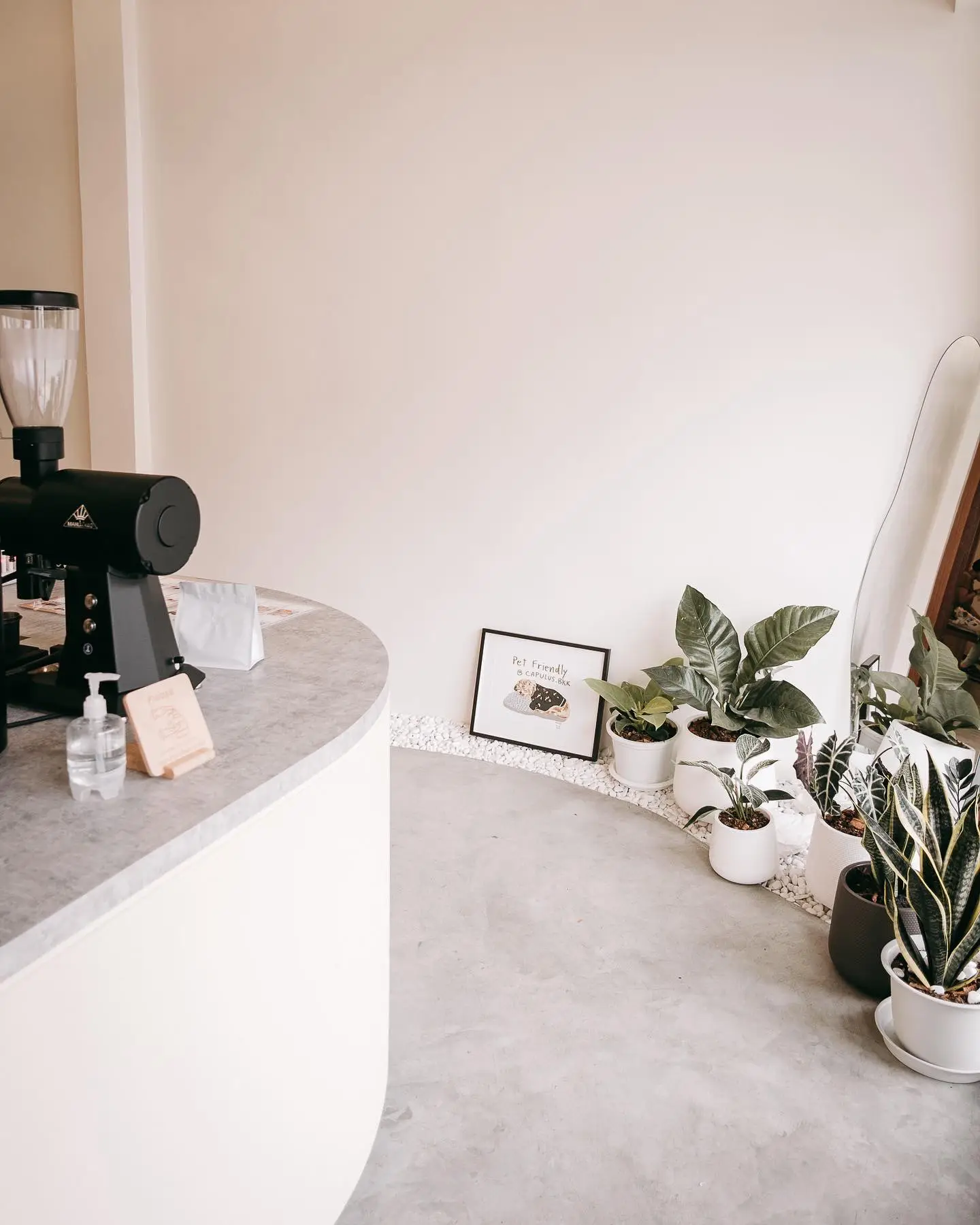 CAPULUS BKK คาเฟ่บรรยากาศสบายๆ สไตล์มินิมอล แสงสวยมาก | แกลเลอรีที่ ...