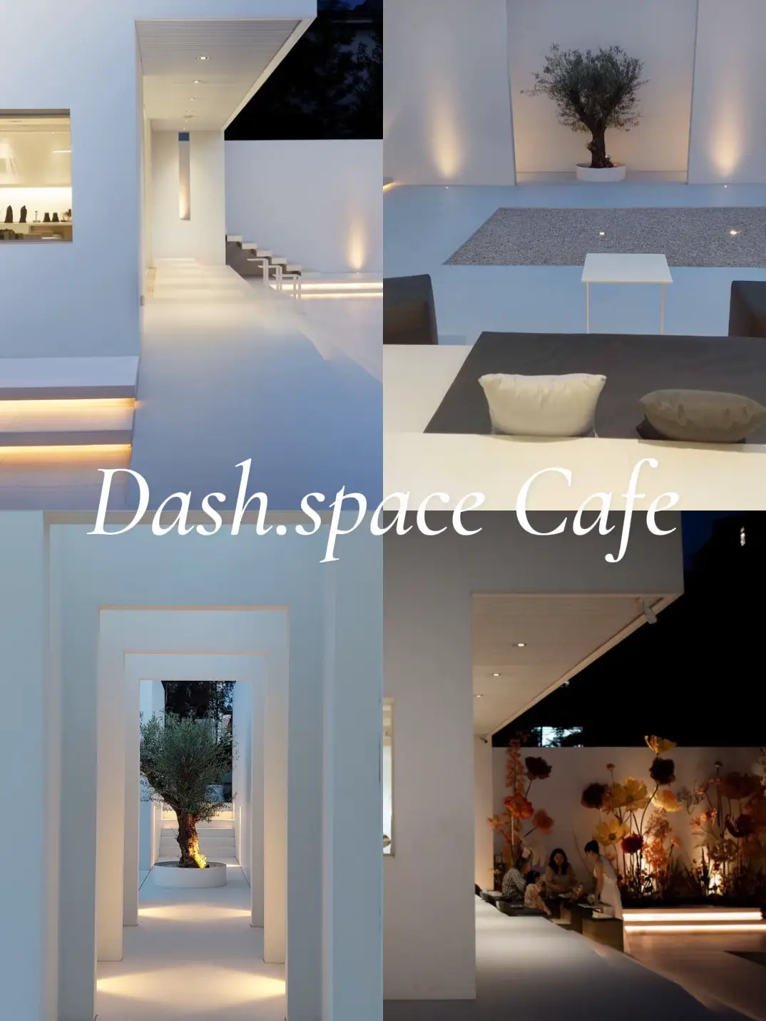 Dash.space คาเฟ่ฟิลดี 2023 ย่านรามอินทรา | แกลเลอรีที่โพสต์โดย BEE 🐝 | Lemon8