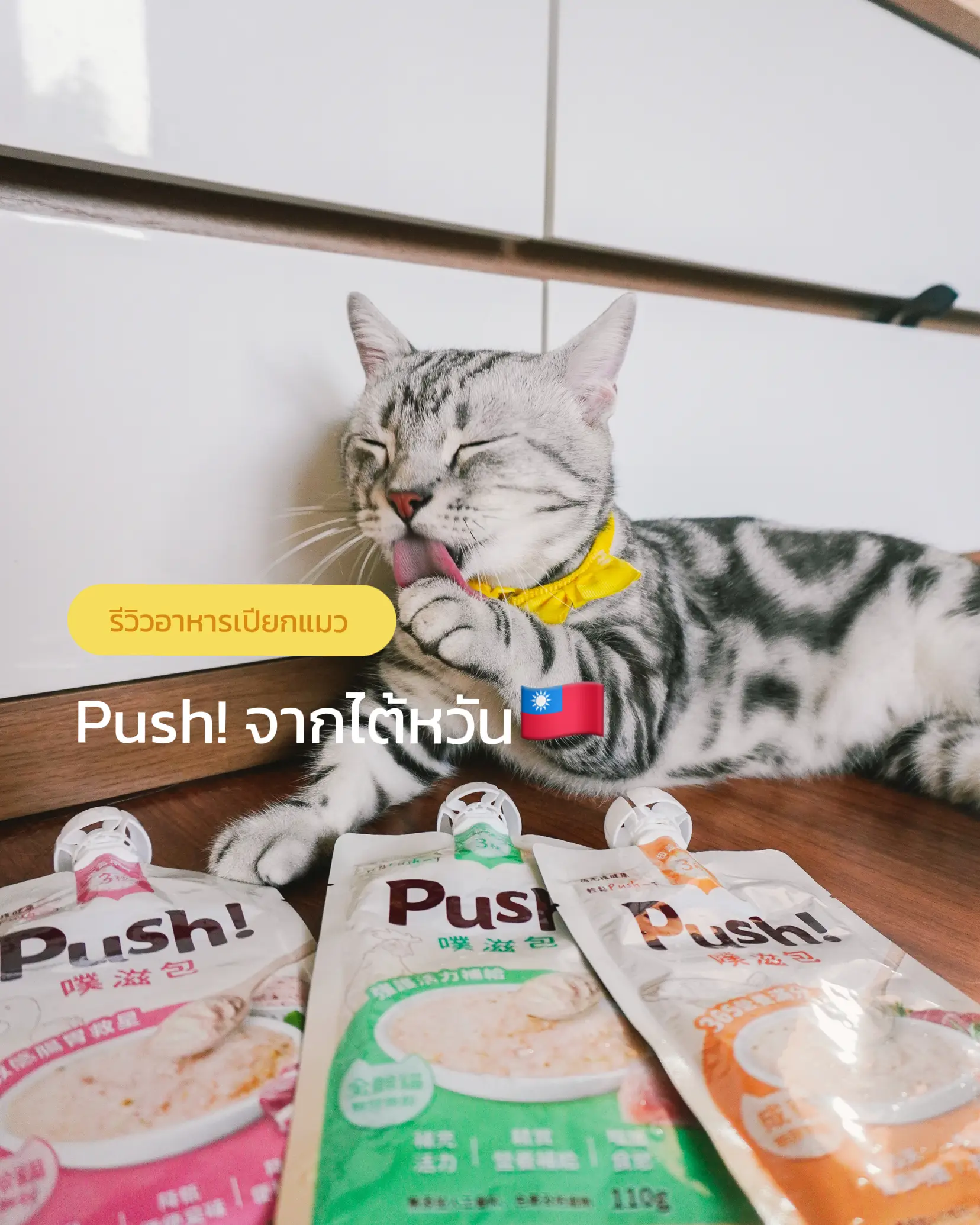 อาหารเปียกแมวจากไต้หวัน! Push!🧡🙌🇹🇼 | แกลเลอรีที่โพสต์โดย mmoowann | Lemon8