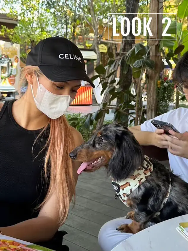 ควรตำมั้ย?? หมวก Celine หลักหมื่น! 🎩𓂂 𓏸 | แกลเลอรีที่โพสต์โดย june˚ ♡🦦 | Lemon8