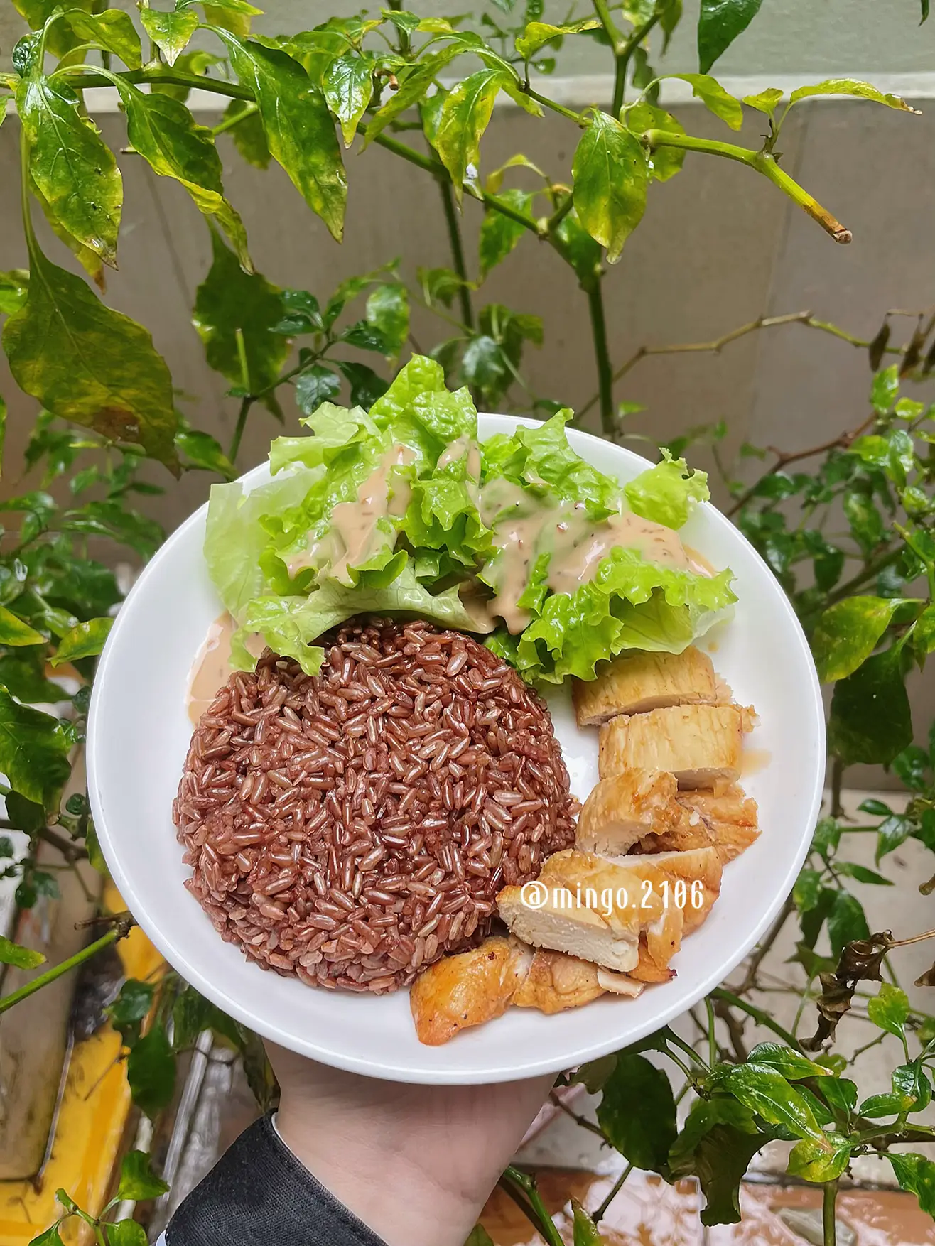 EATCLEAN WITH MINGO ️‍🔥 📍 C | แกลเลอรีที่โพสต์โดย MINGO EATCLEAN | Lemon8