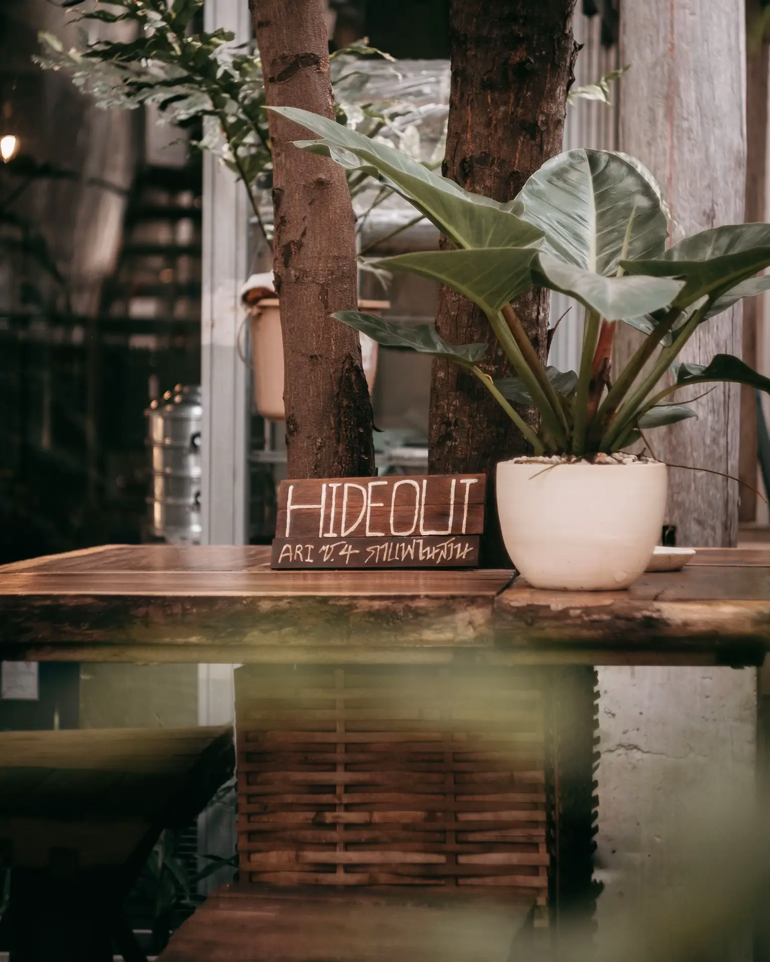 HIDE OUT Ari คาเฟ่ ร่มรื่น ซ่อนตัวอยู่ในซอยอารีย์ 4 ⁣🌳🌿 | แกลเลอรีที่ ...