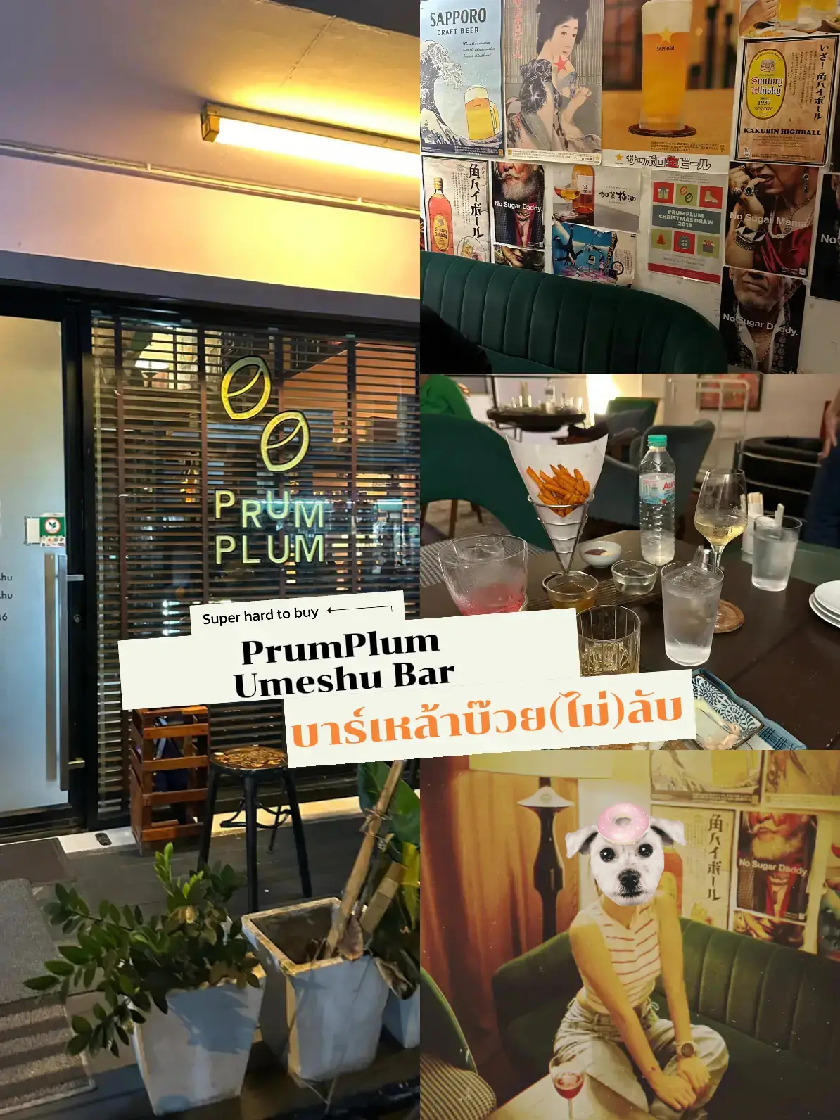 Plum Bar(No)Secret PrumPlum梅酒バー 🥂 | Call me jellyが投稿したフォトブック | Lemon8