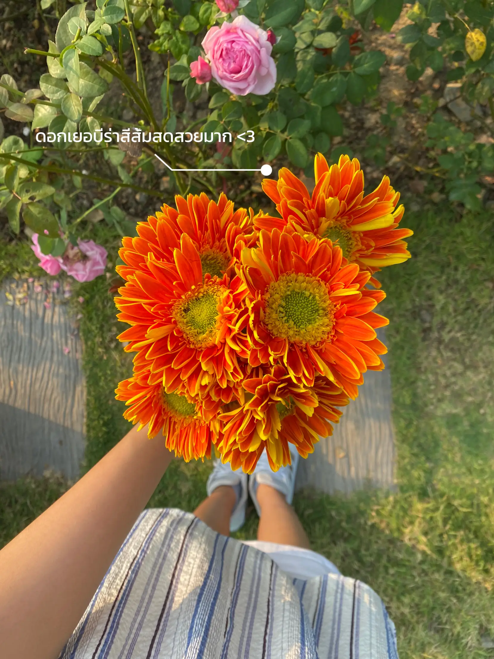 OOTD, take a picture with a sweet yebira. 💐 | Gallery posted by KAIMOOK ...