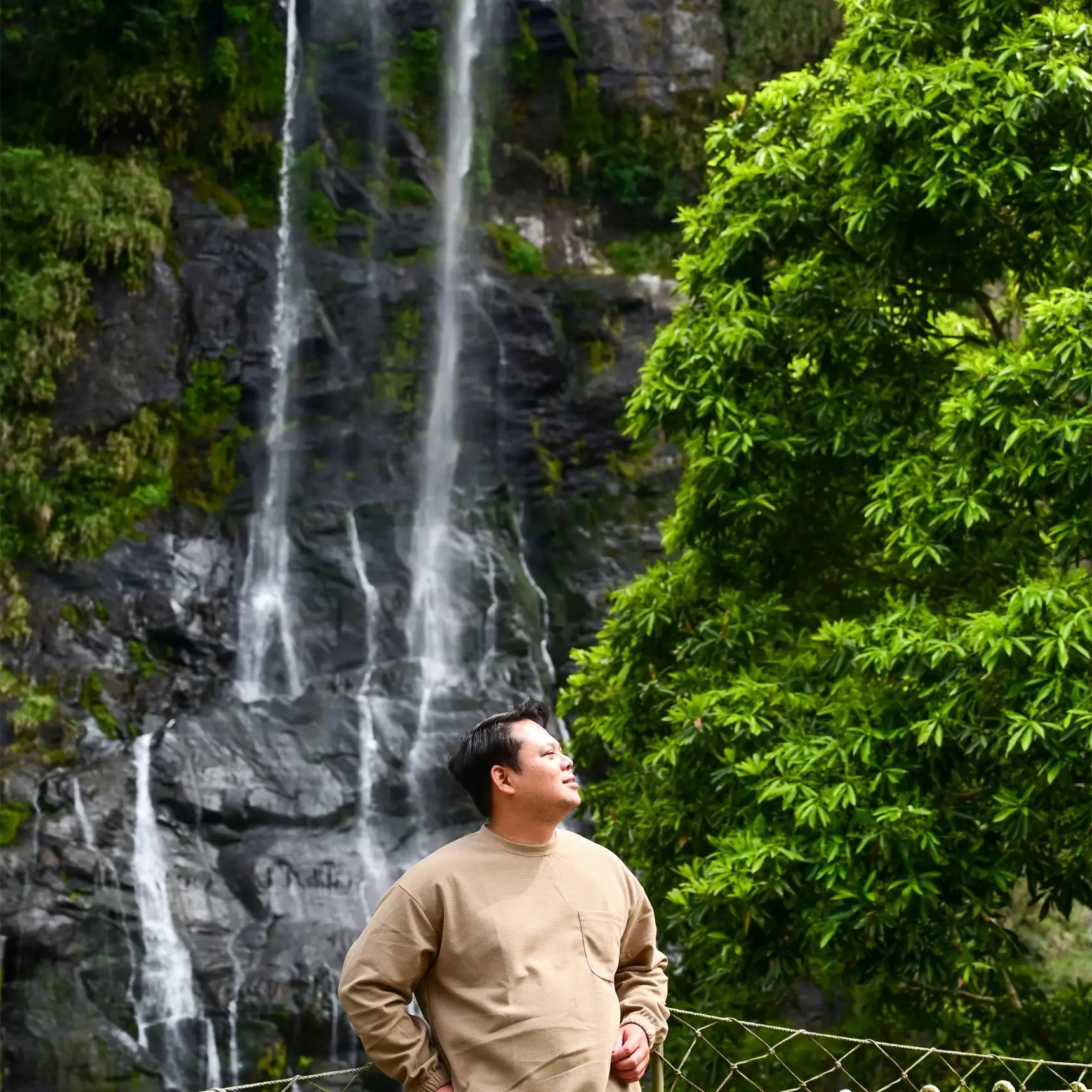 Wulai ไต้หวัน คาเฟ่ - การค้นหาใน Lemon8