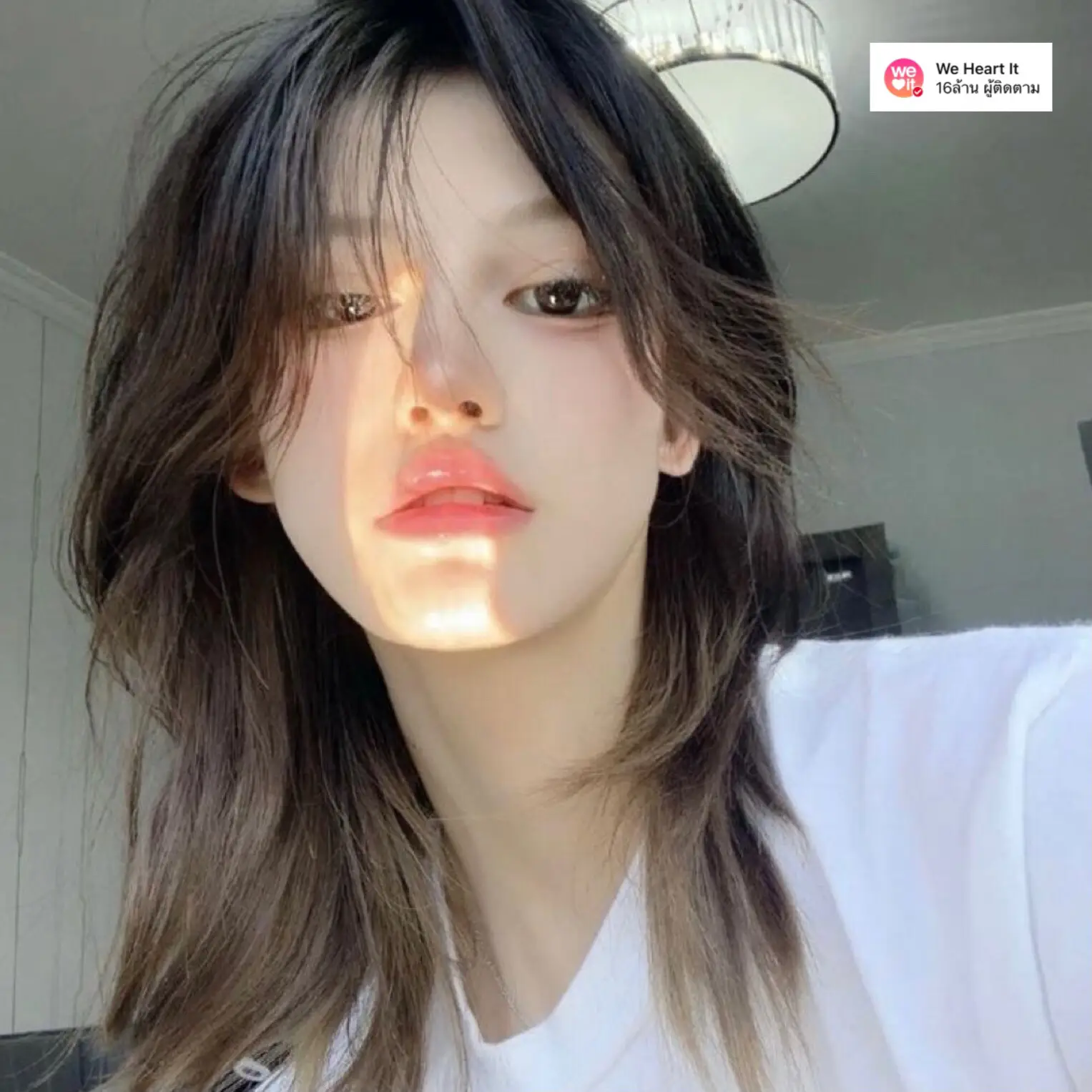 20 ไอเดียยอดนิยมเกี่ยวกับ Soft Mullet หญิง ในปี 2024