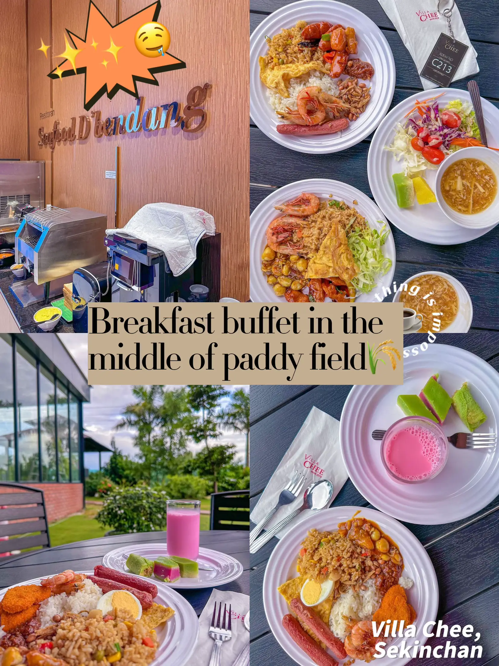 Breakfast in the middle of the paddy field 🌾 | Galeri disiarkan oleh ...